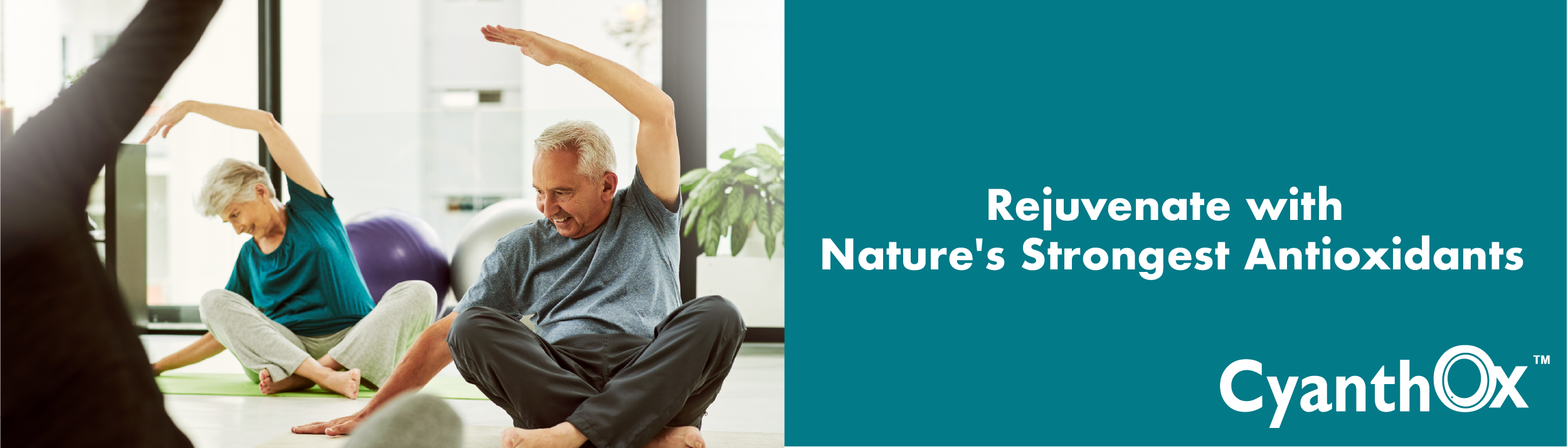 Rejuvenate with Nature's Strongest Antioxidants — Puredia