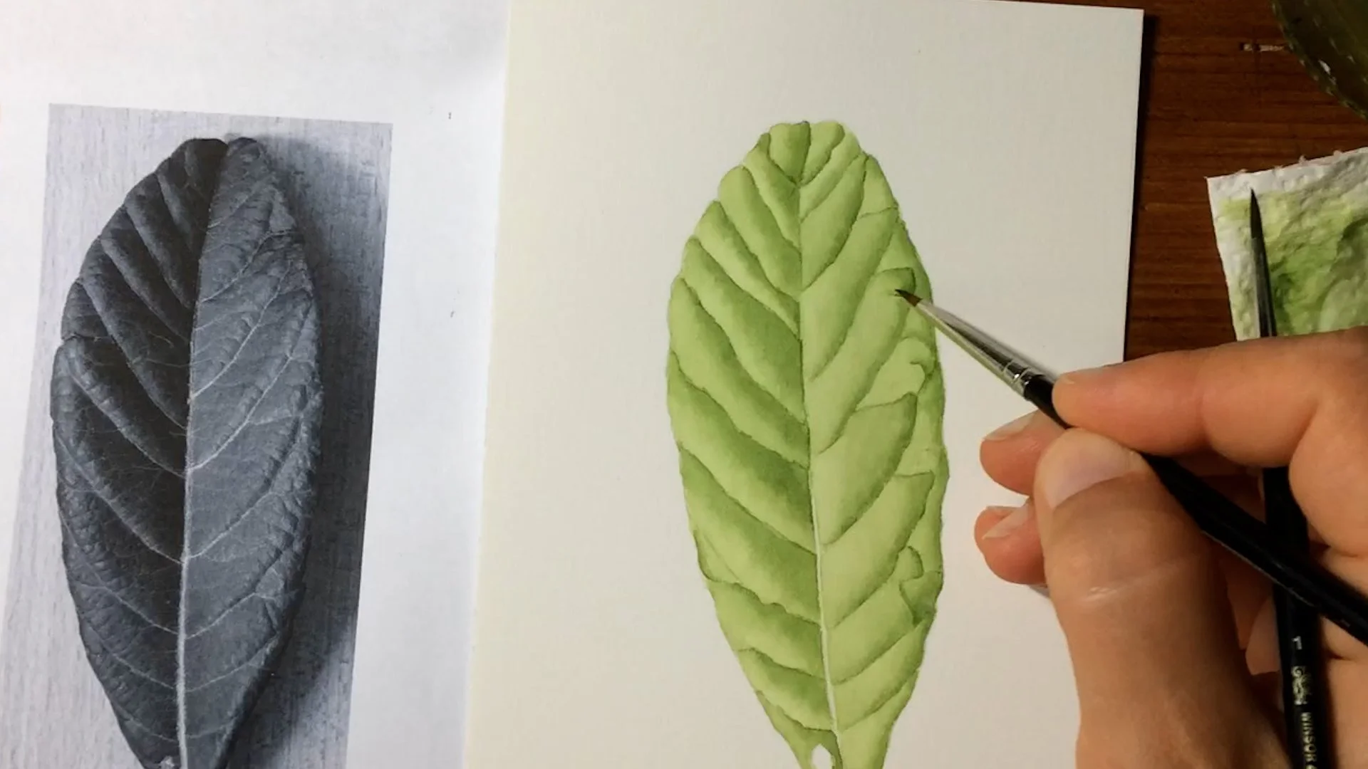 How to Paint A Realistic Leaf In Watercolor — Katia Galante Art