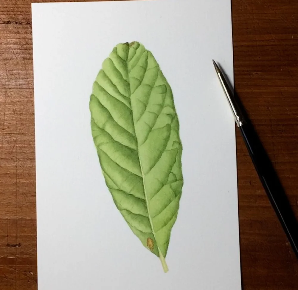 Surface Pattern Designer - Katia Galante Art