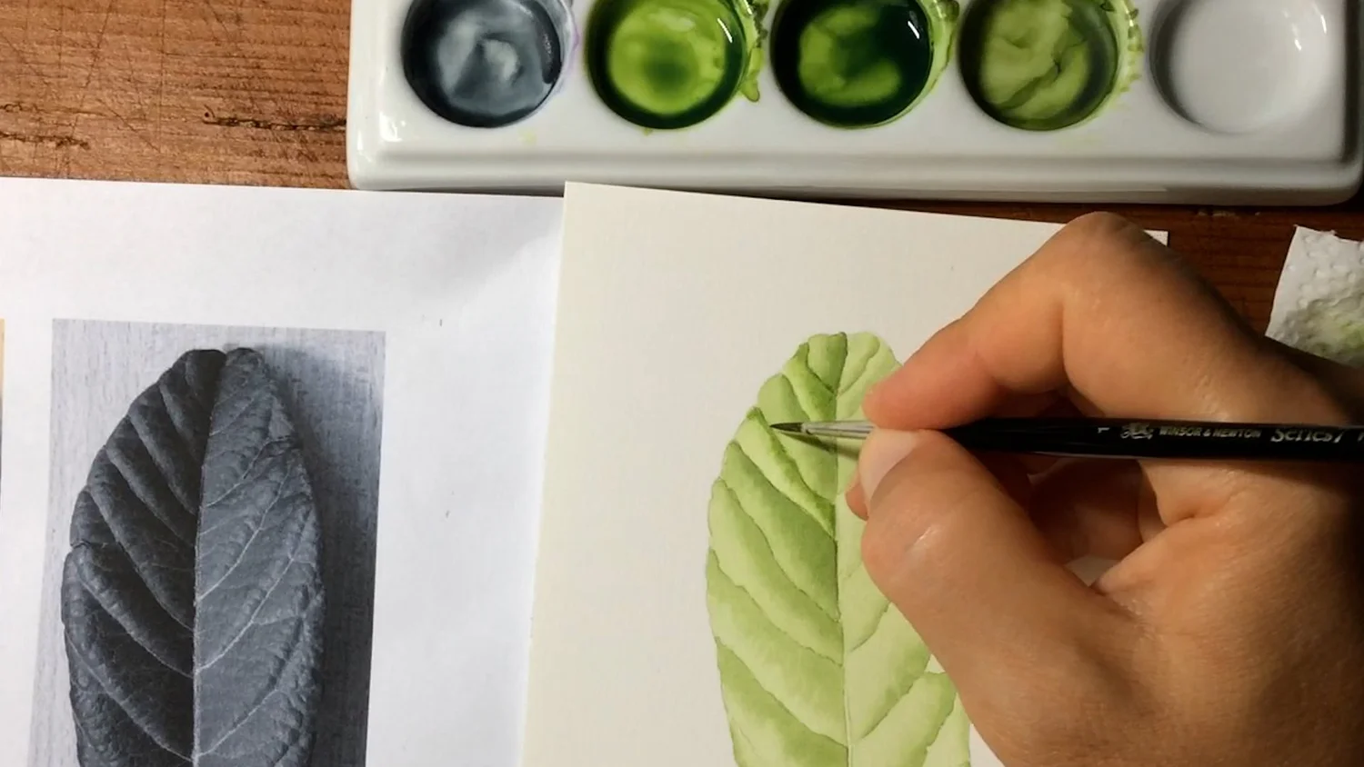 How to Paint A Realistic Leaf In Watercolor — Katia Galante Art