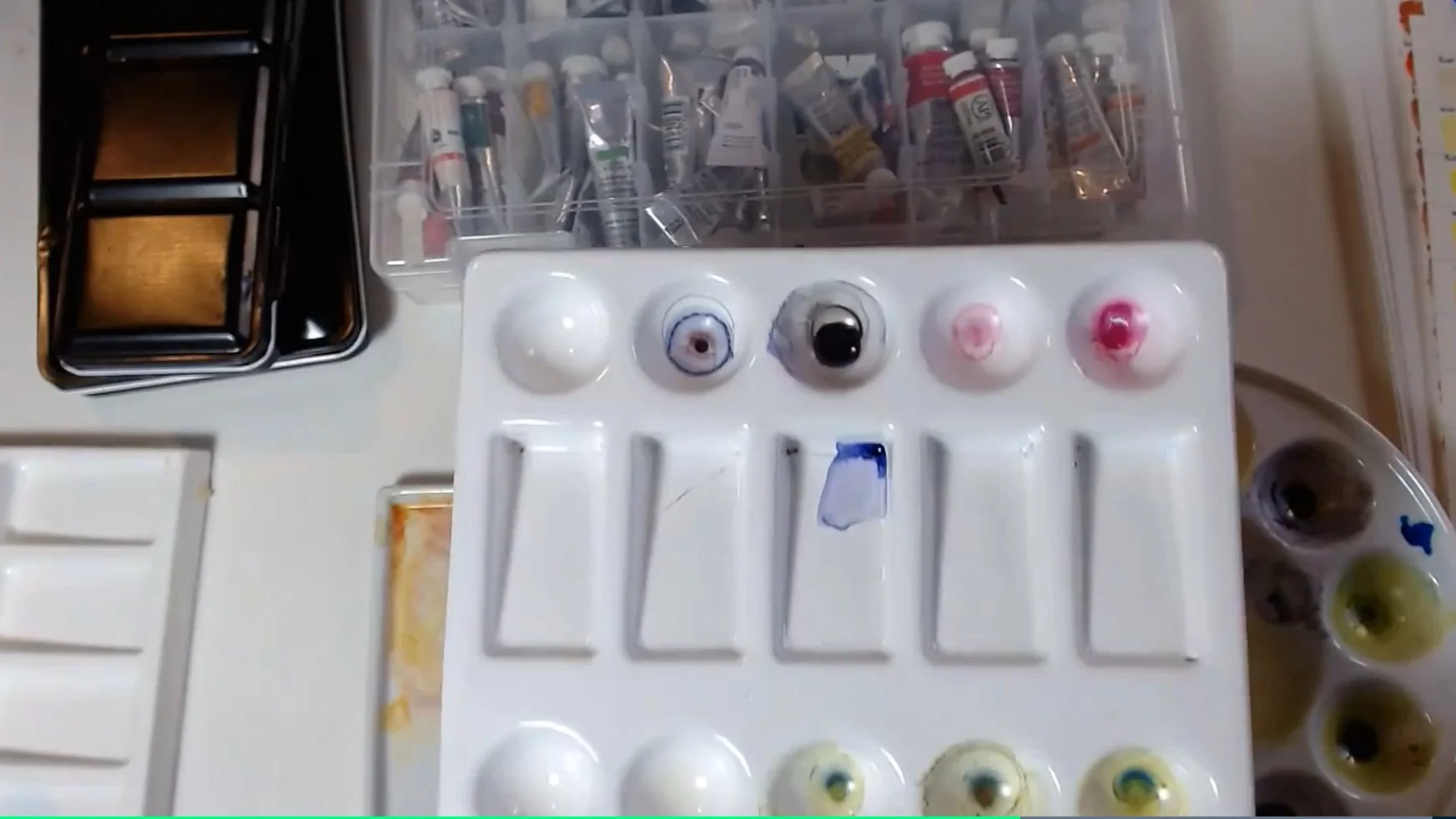 7 Tips for Botanical Painting — Katia Galante Art