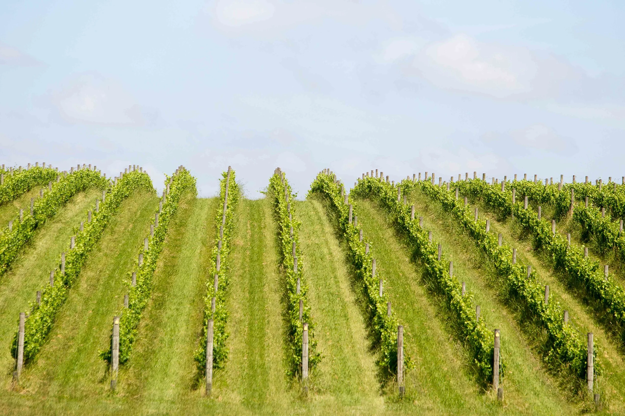 Contact Us — Total Viticulture Solutions