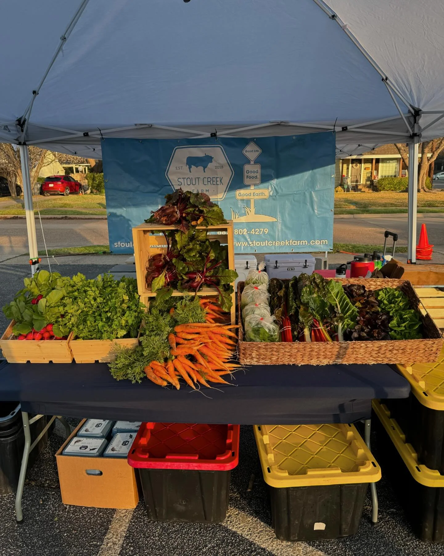 Stout Creek Farm - Regenerative Farm & Ranch in Northeast Texas