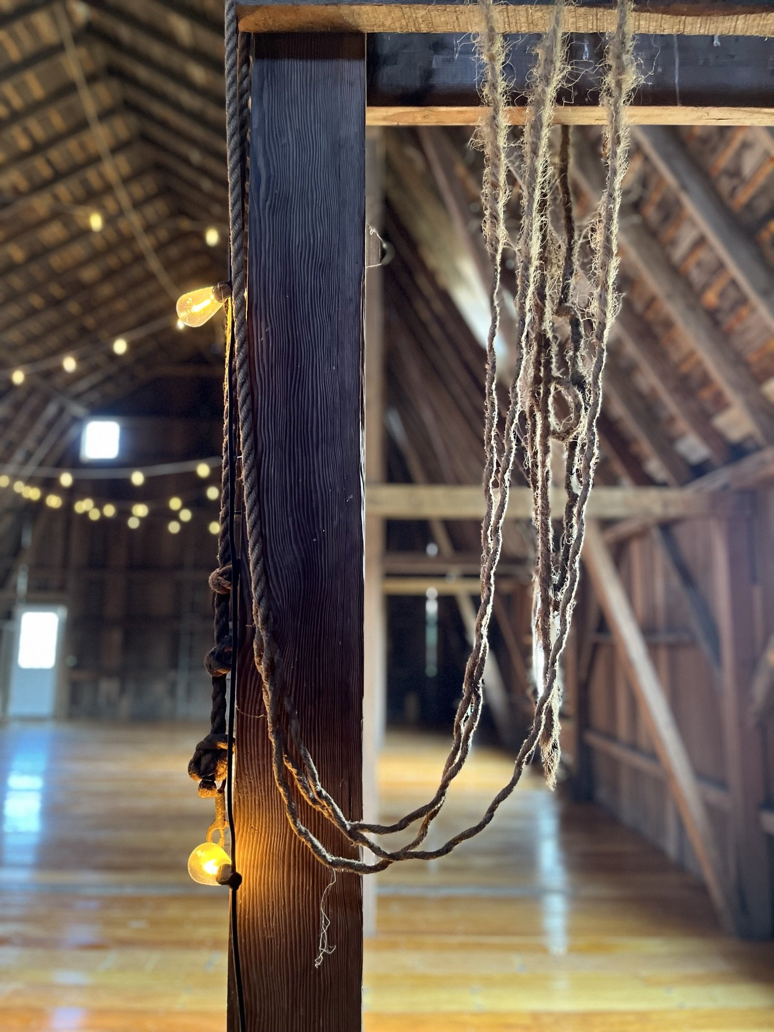 The Property — Tailwind Acres