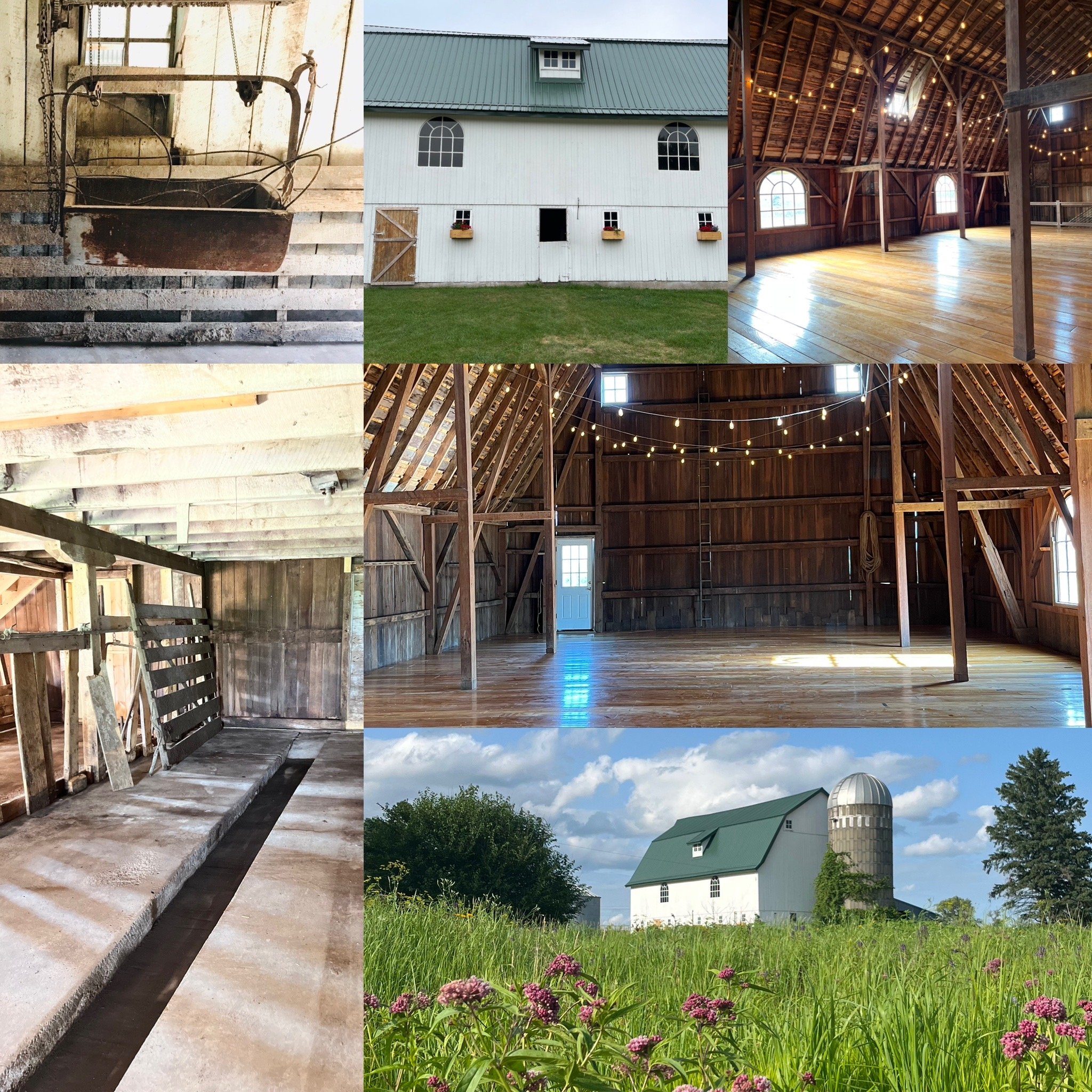 The Property — Tailwind Acres