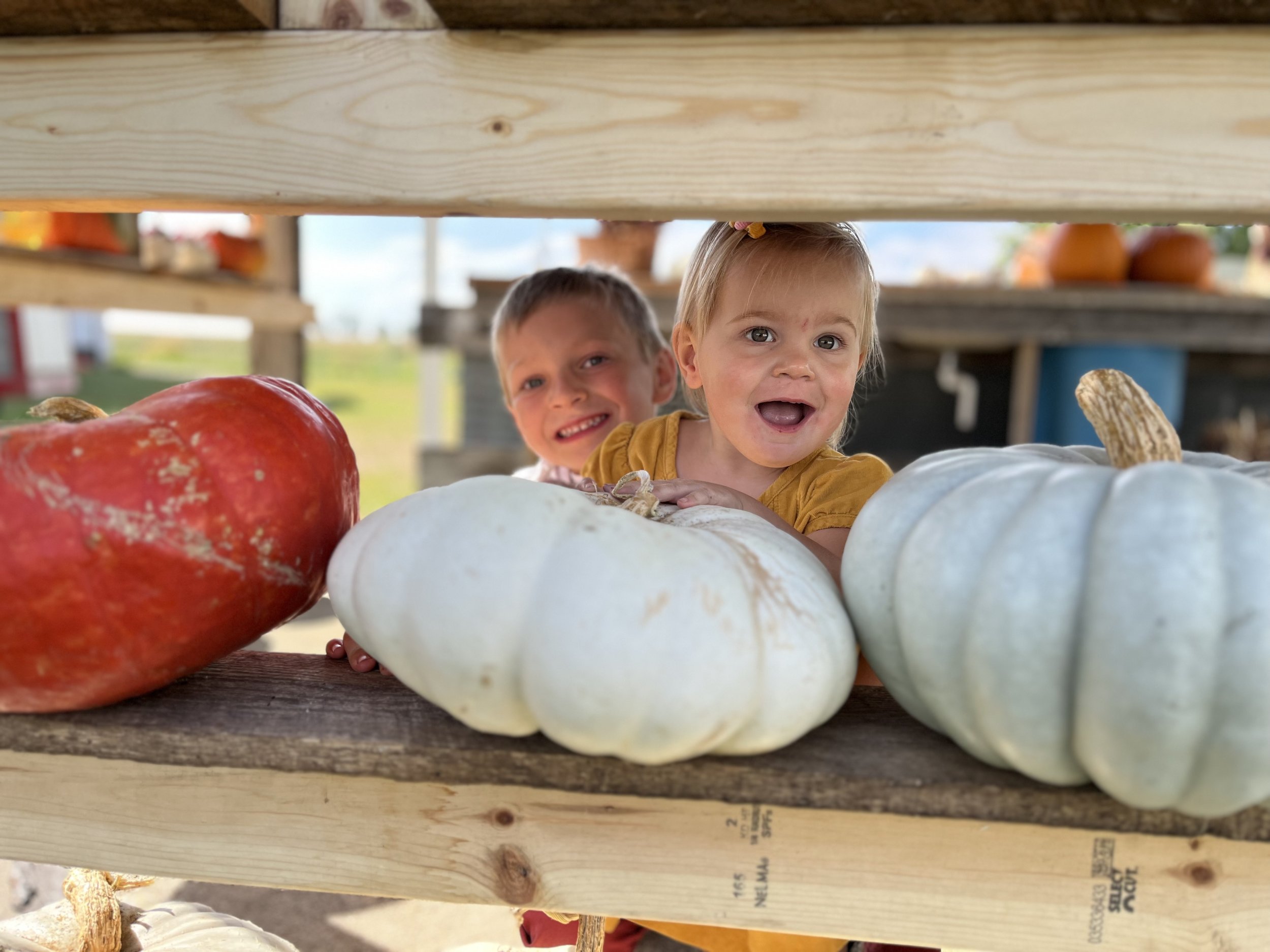 Events — Tailwind Acres