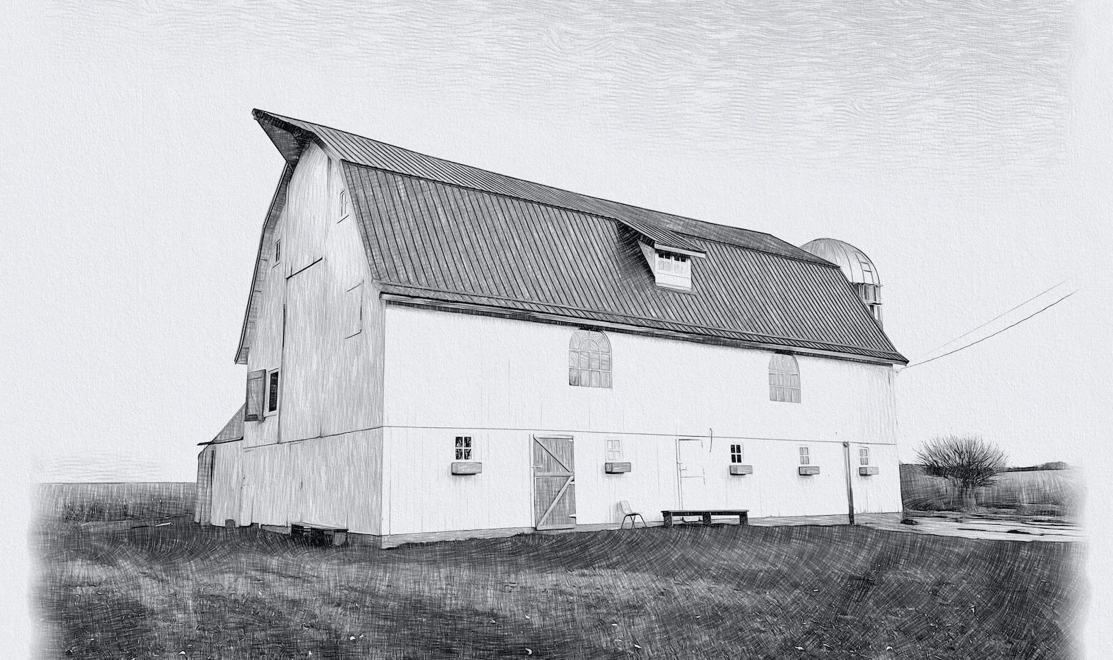 Shop — Tailwind Acres