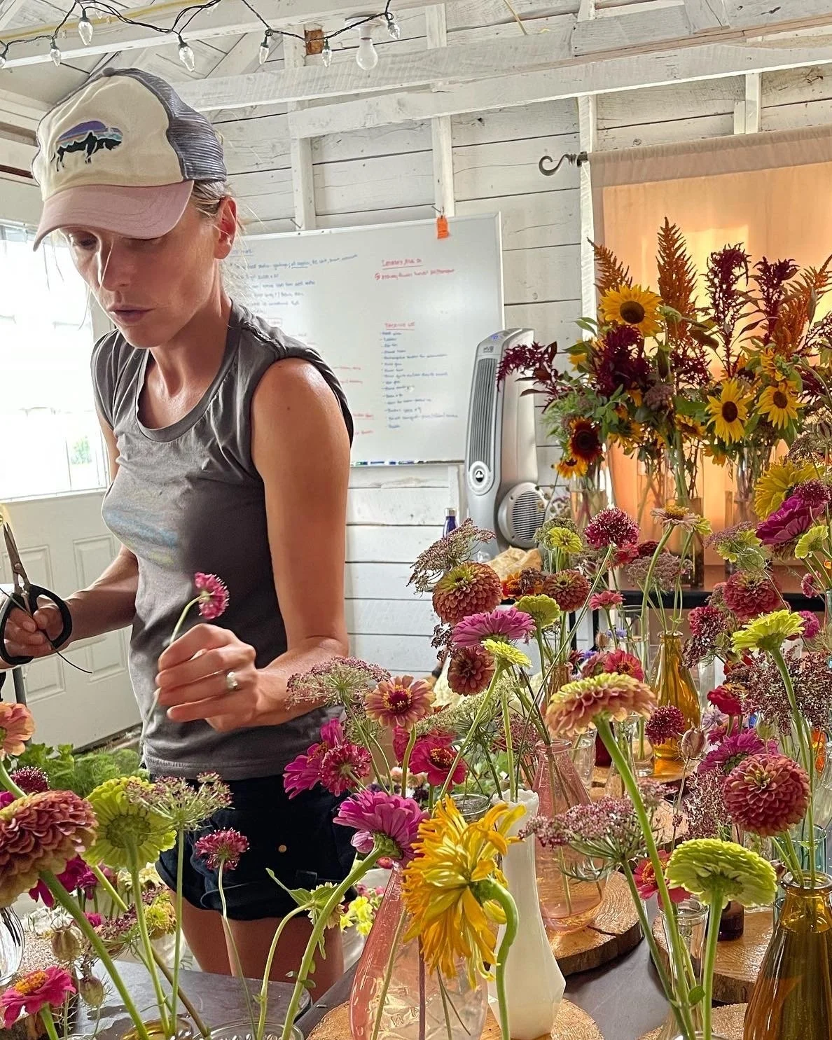 The Farmers — Tailwind Acres