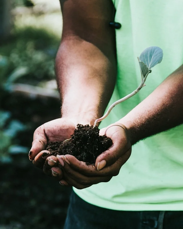 The Good Samaritan Inn