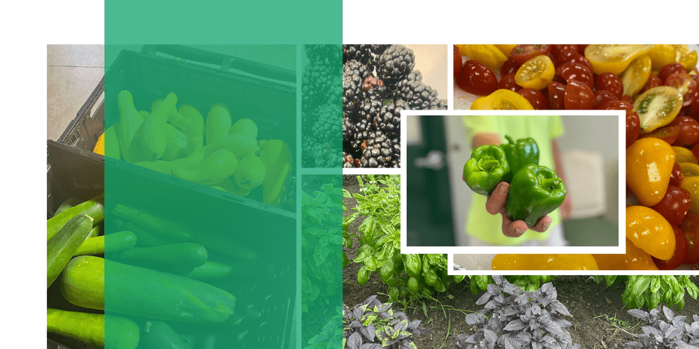 The Good Samaritan Inn