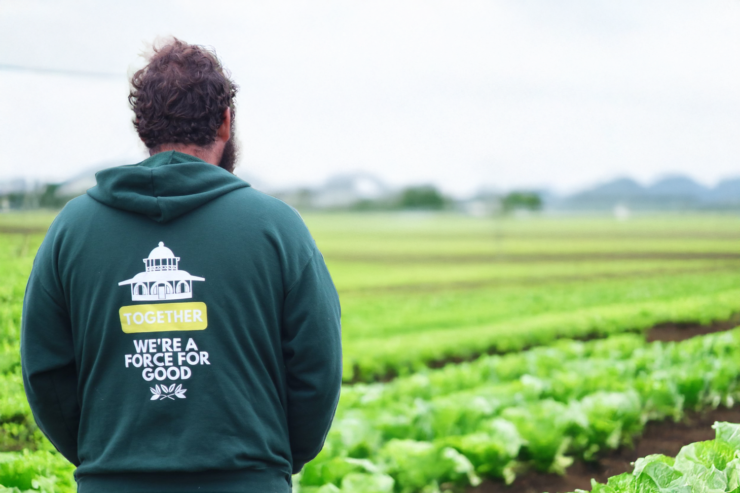 The Good Samaritan Inn