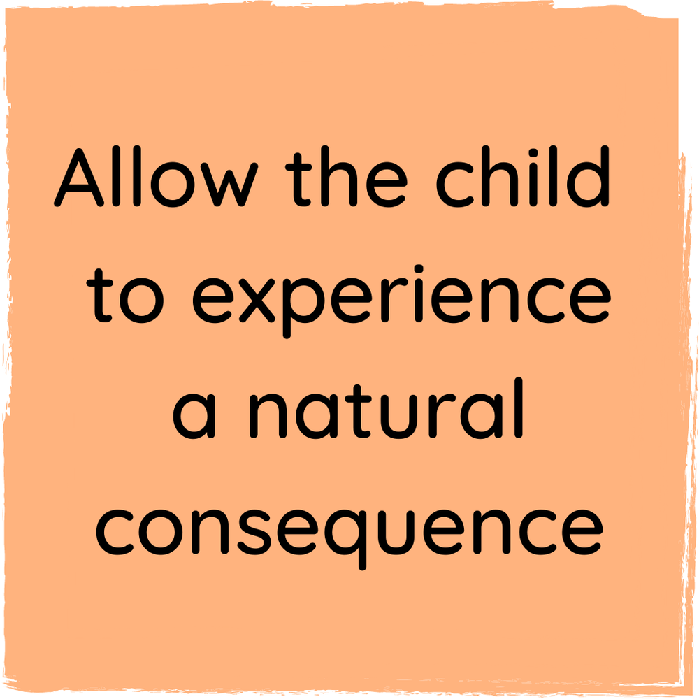 Language of Safety — Whole Child Model