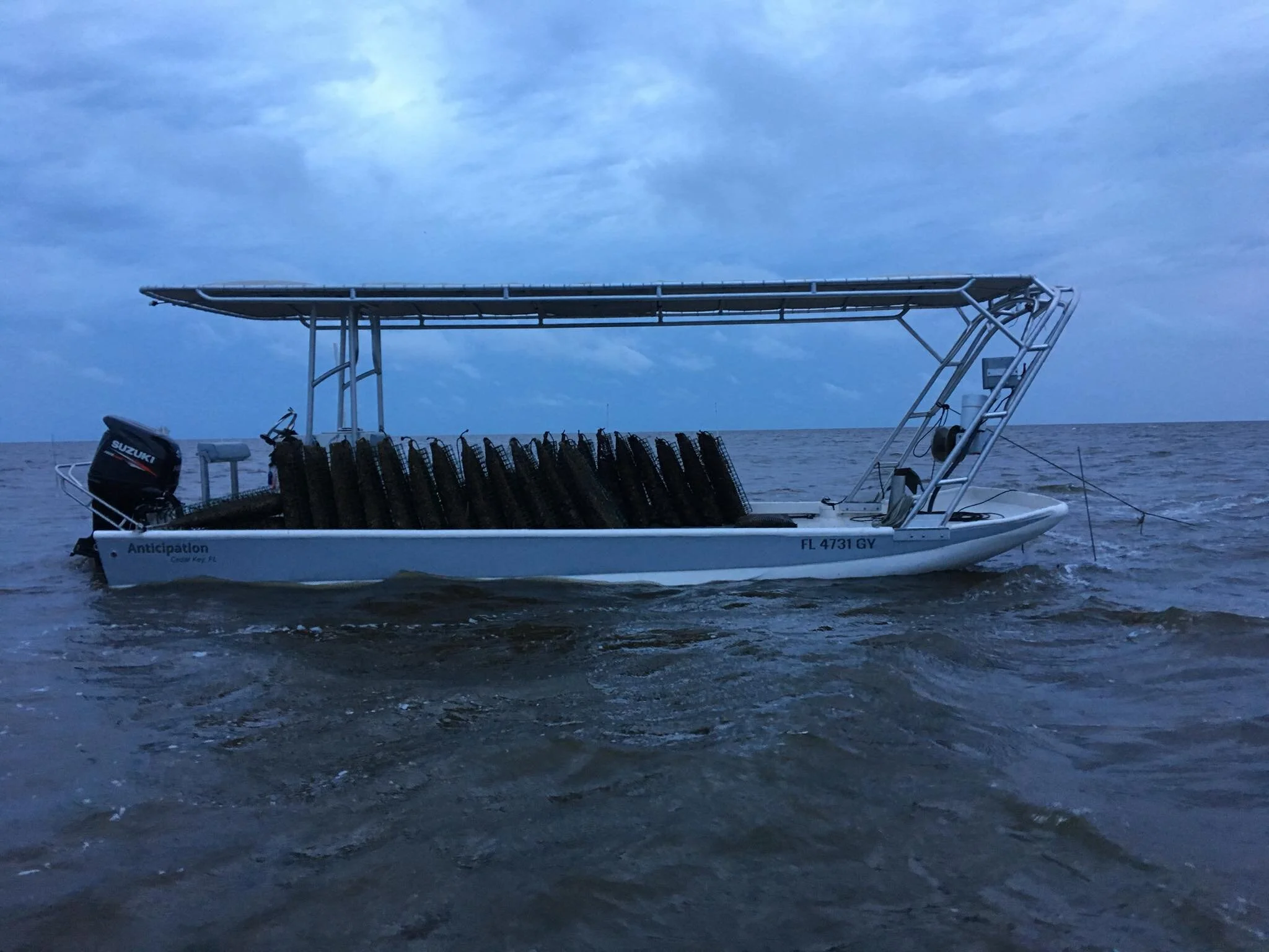 What We Do — Florida Shellfish Aquaculture Association