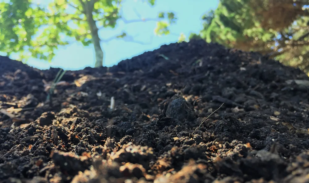 Kaicycle Urban Farm and Composting