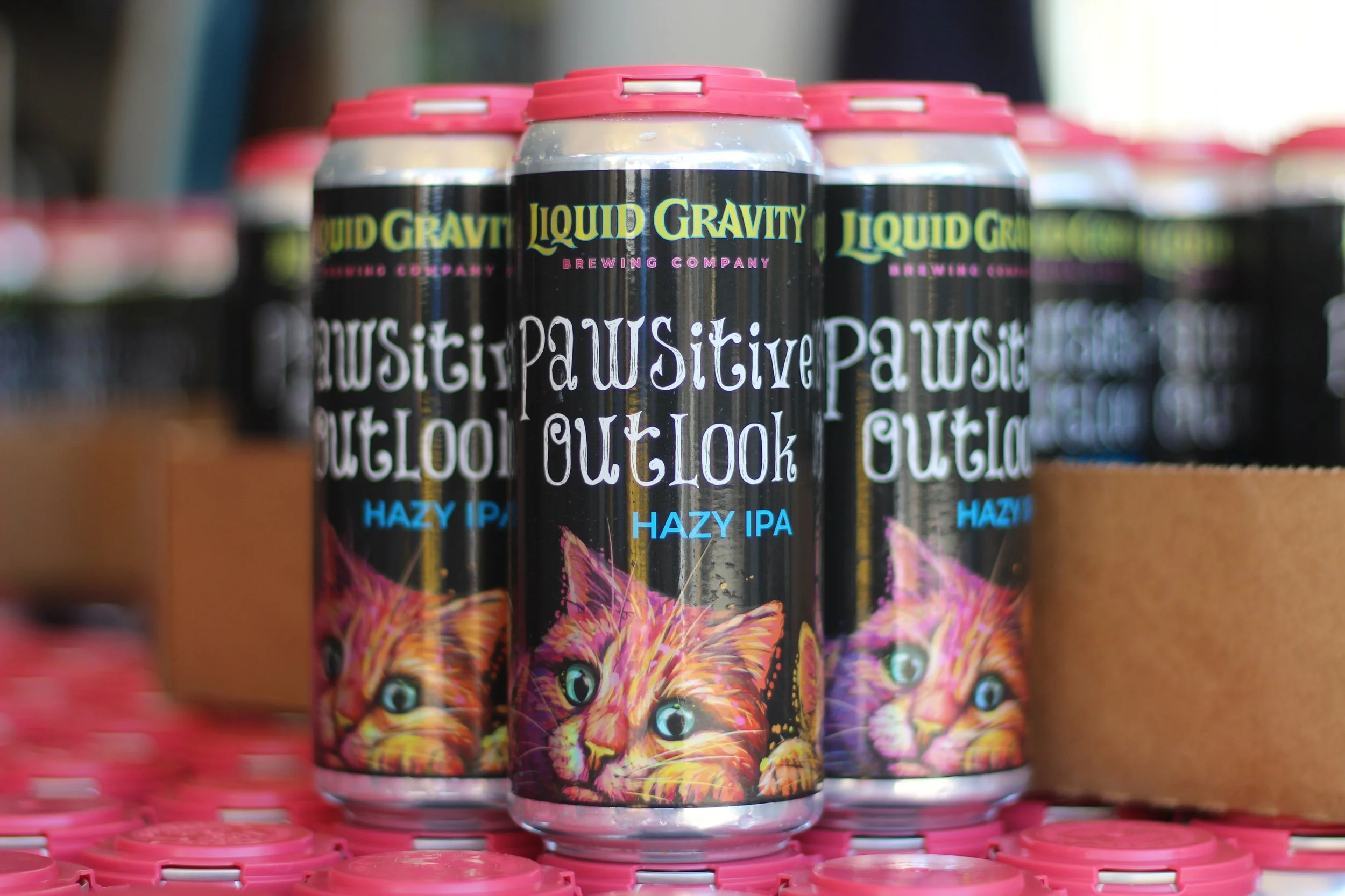 SHOP — Liquid Gravity Brewing Company