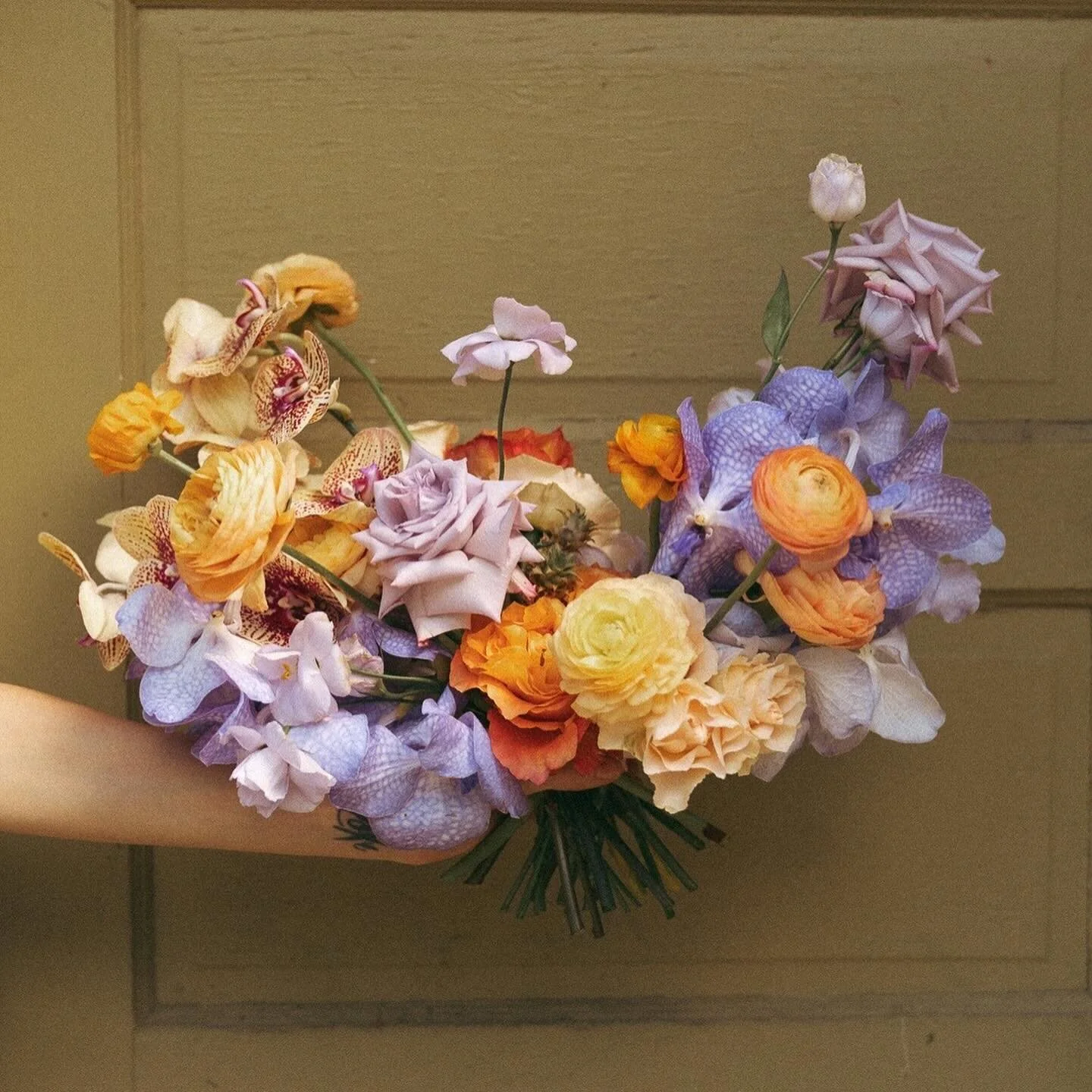 Emily LC Photography