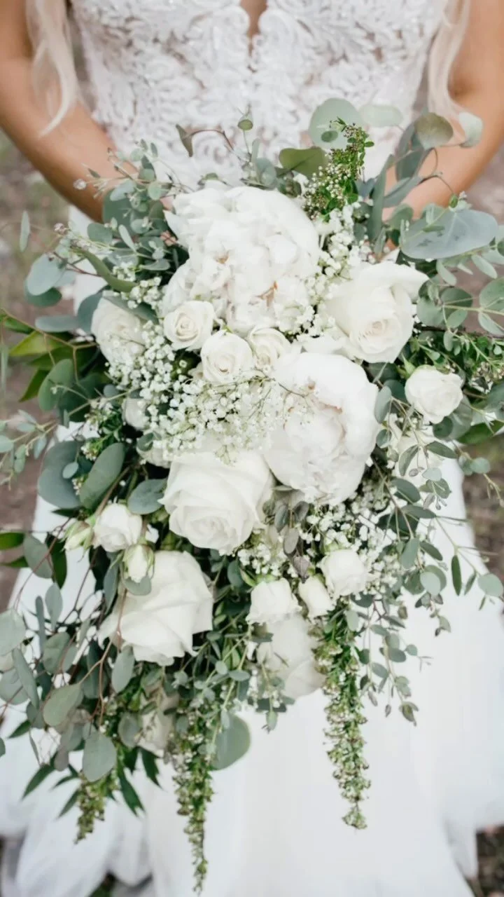 Emily LC Photography