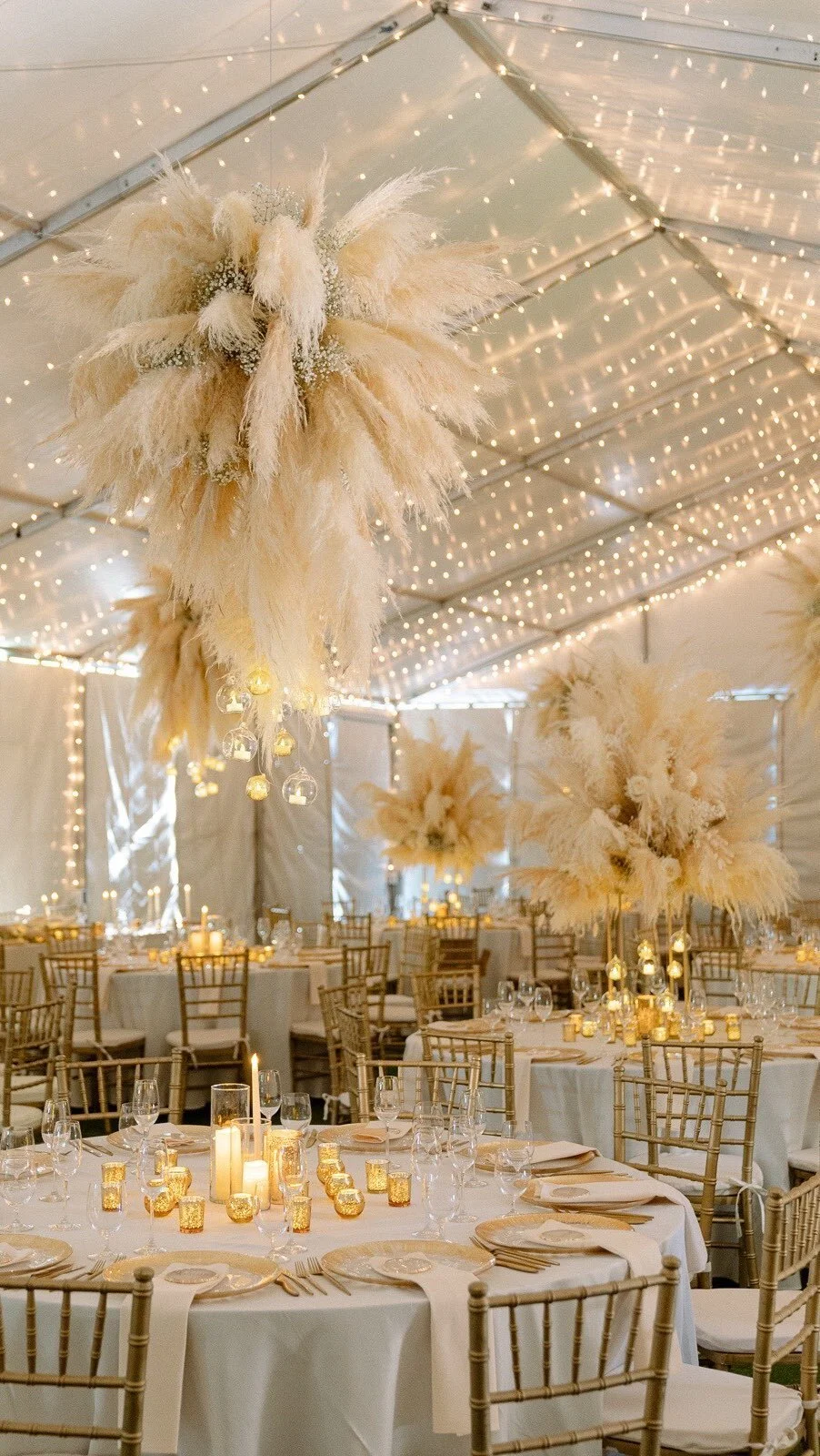 Emily LC Photography