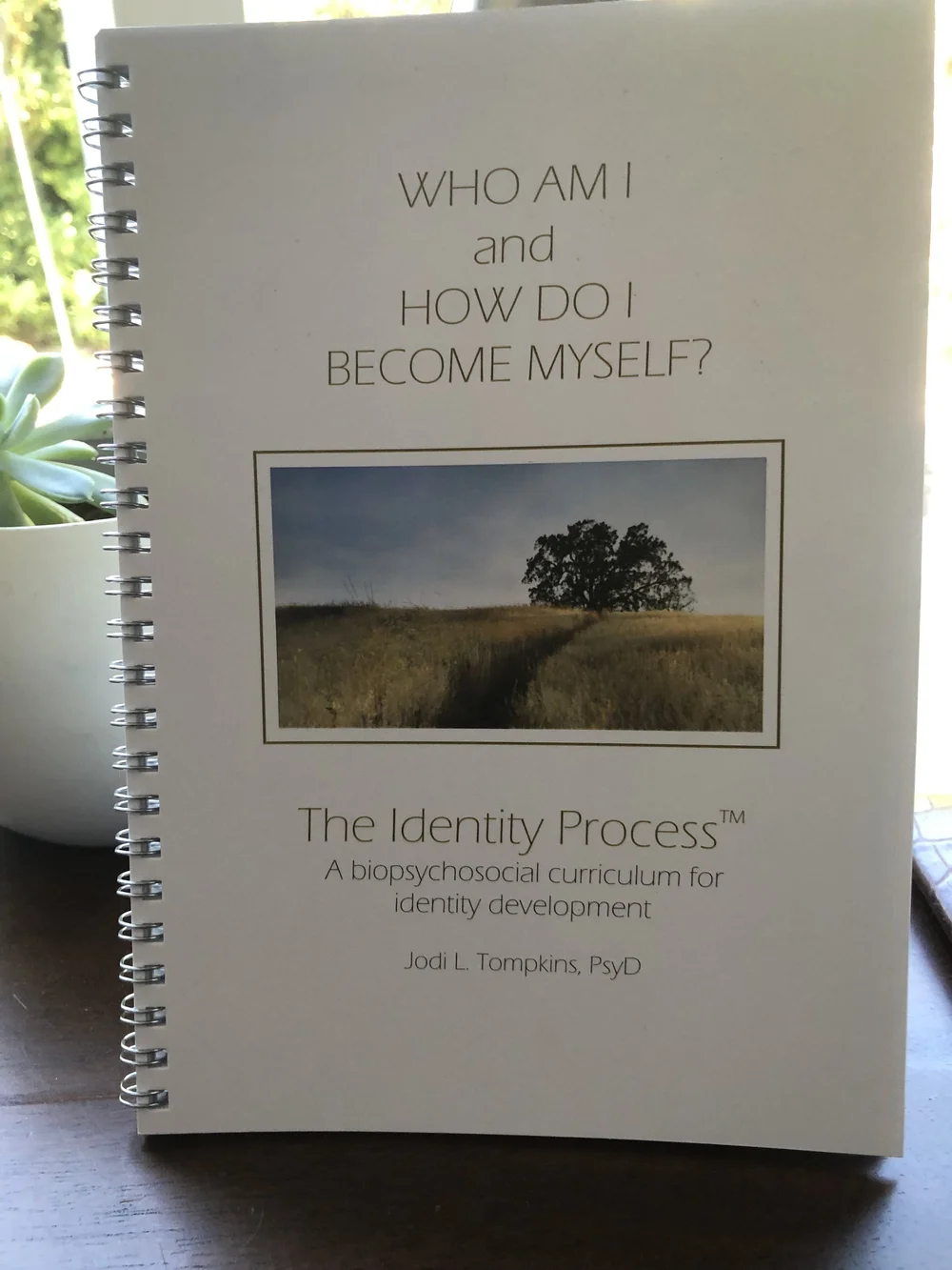 Purchase Identity Process™ Workbook — Dr. Jodi Tompkins, Licensed ...
