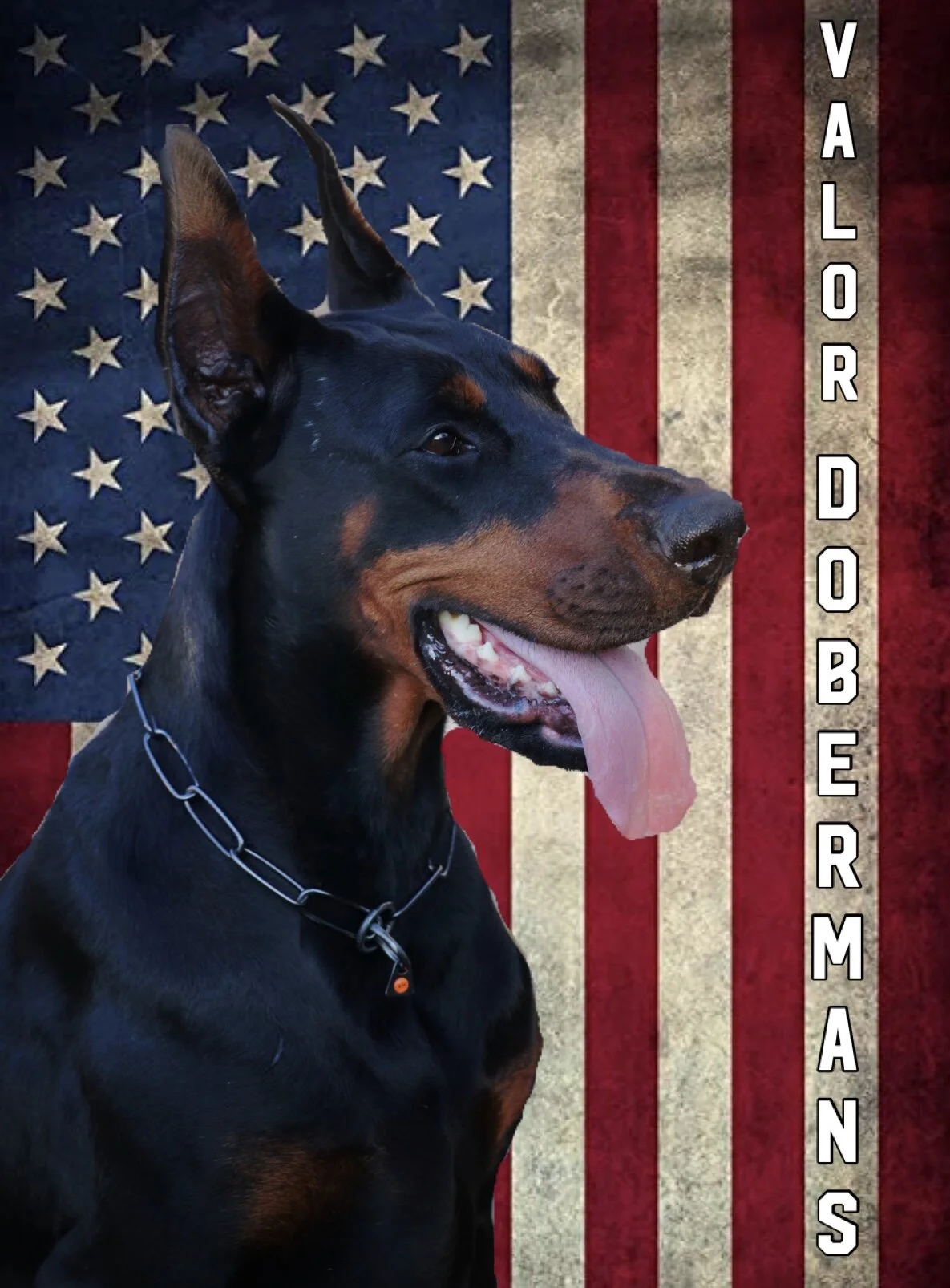 Valor Dobermans