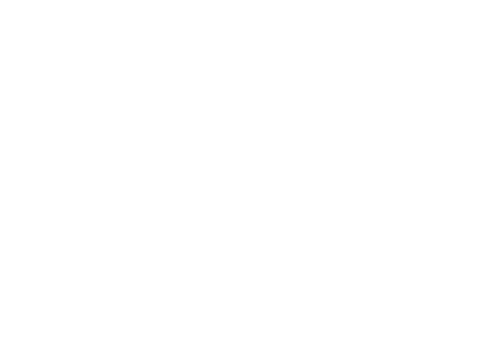 Monte Forte