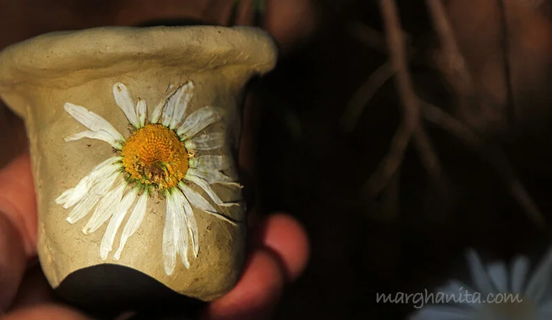 Wonders of the Natural World - Natural Clay Play — MARGHANITA