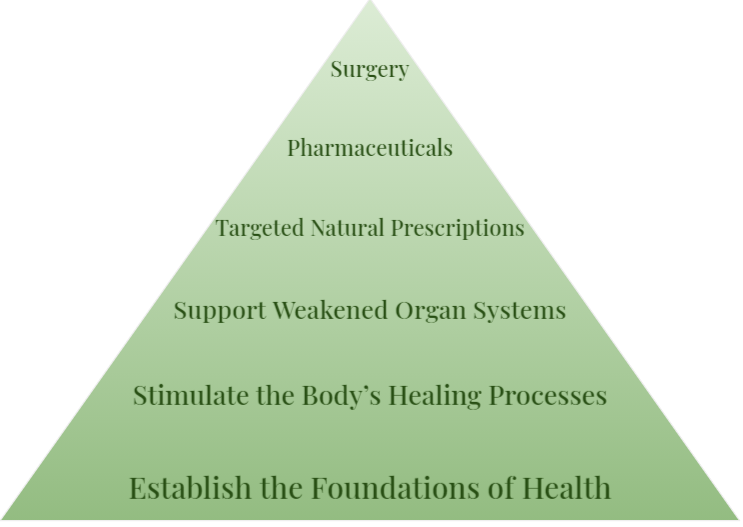Thyme Medicine — Naturopathic Medicine Approach