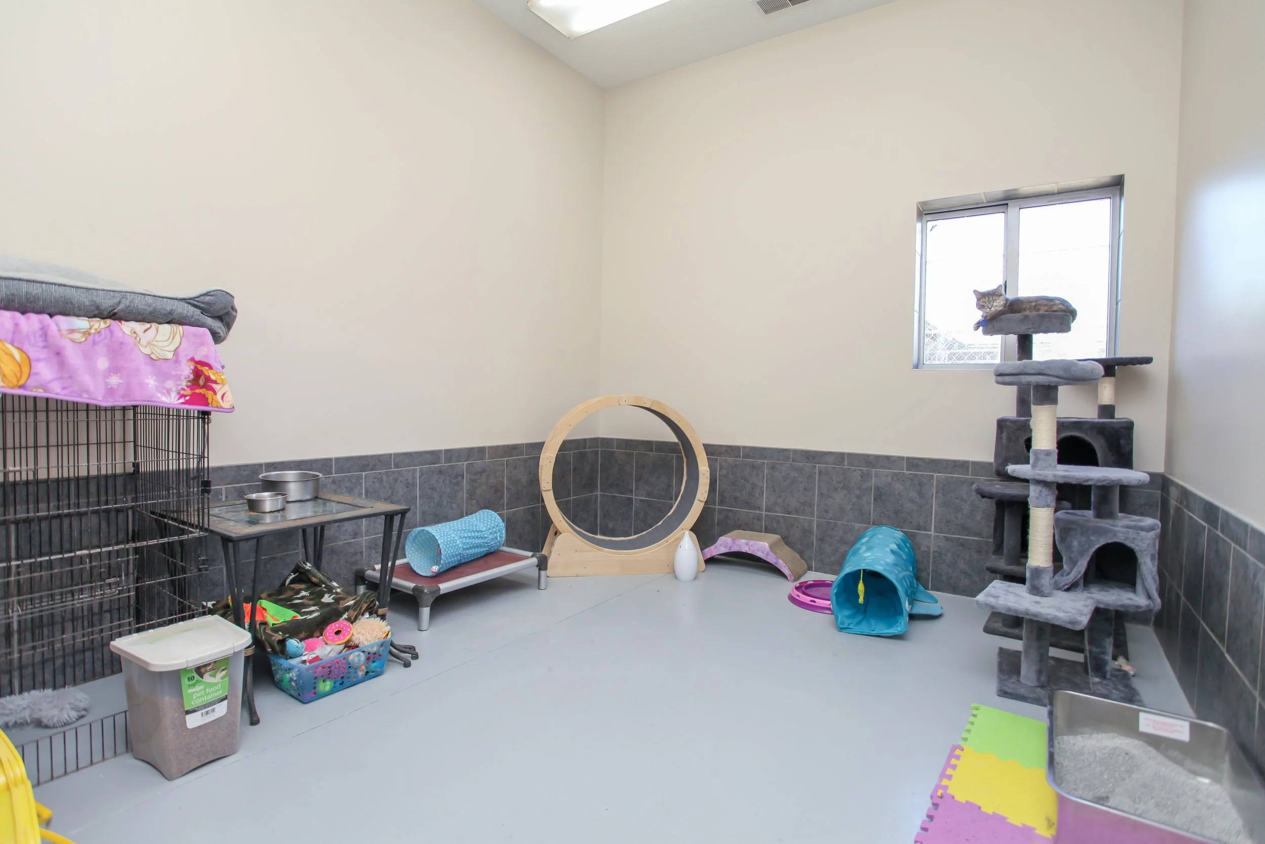 Boarding & Pet Sitting — K-9 Country Club