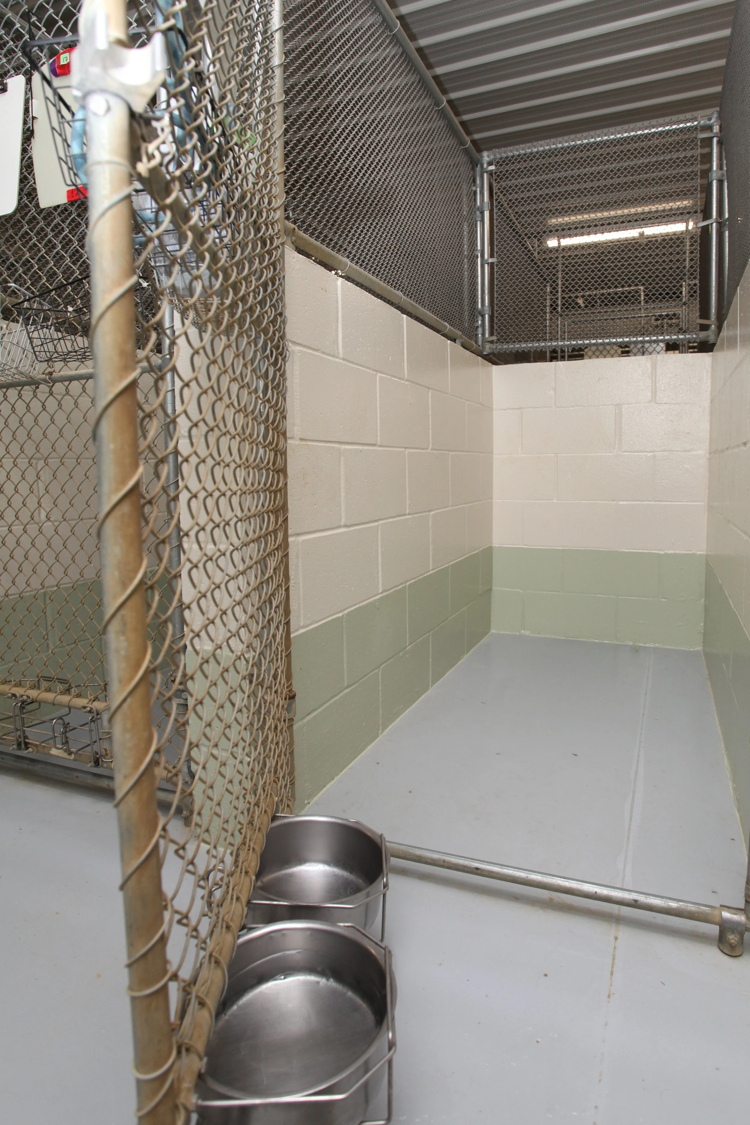 Boarding & Pet Sitting — K-9 Country Club