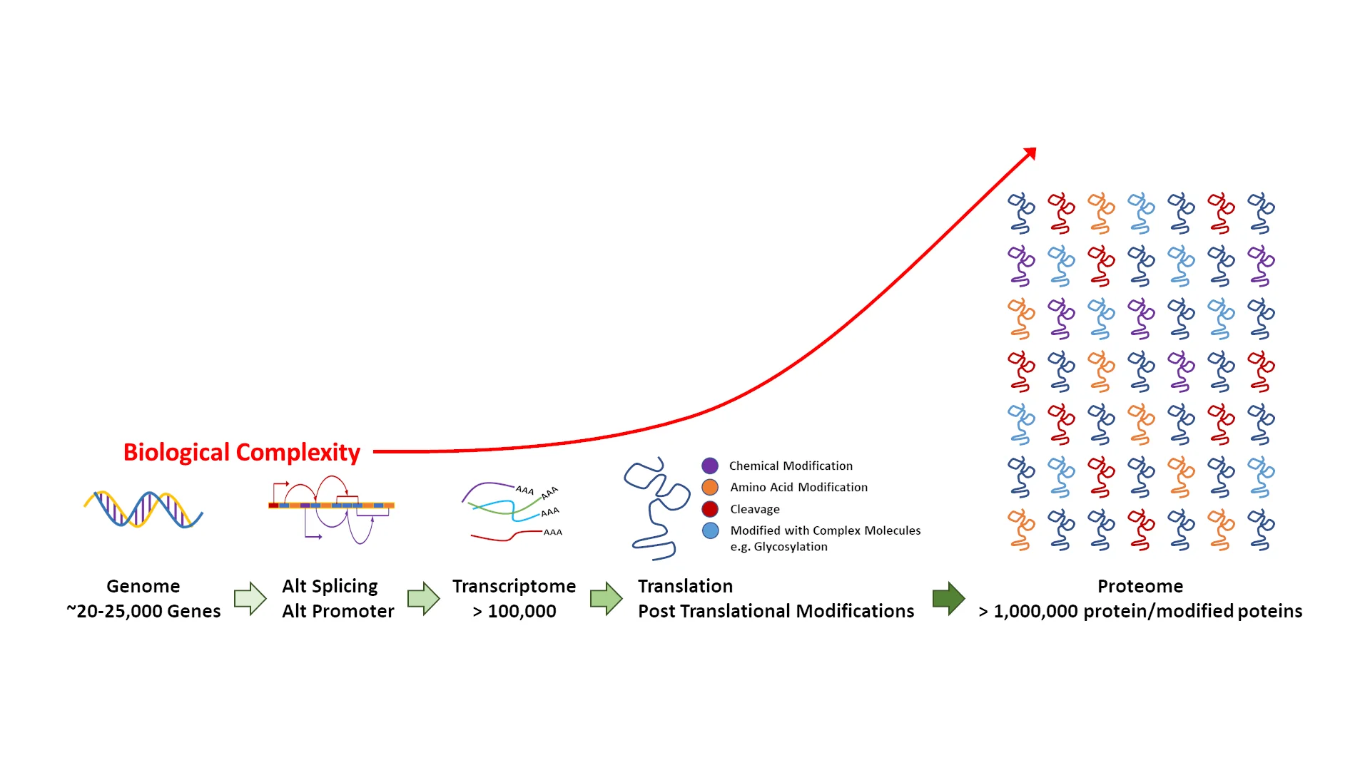 What is PTM | Explore PTM Insights — PTM Therapeutics