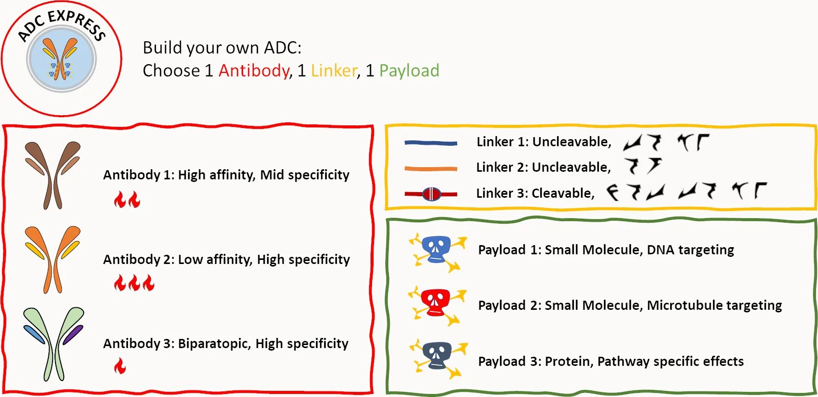 Antibody Drug Conjugate (ADC) | Explore Advanced Therapies — PTM ...