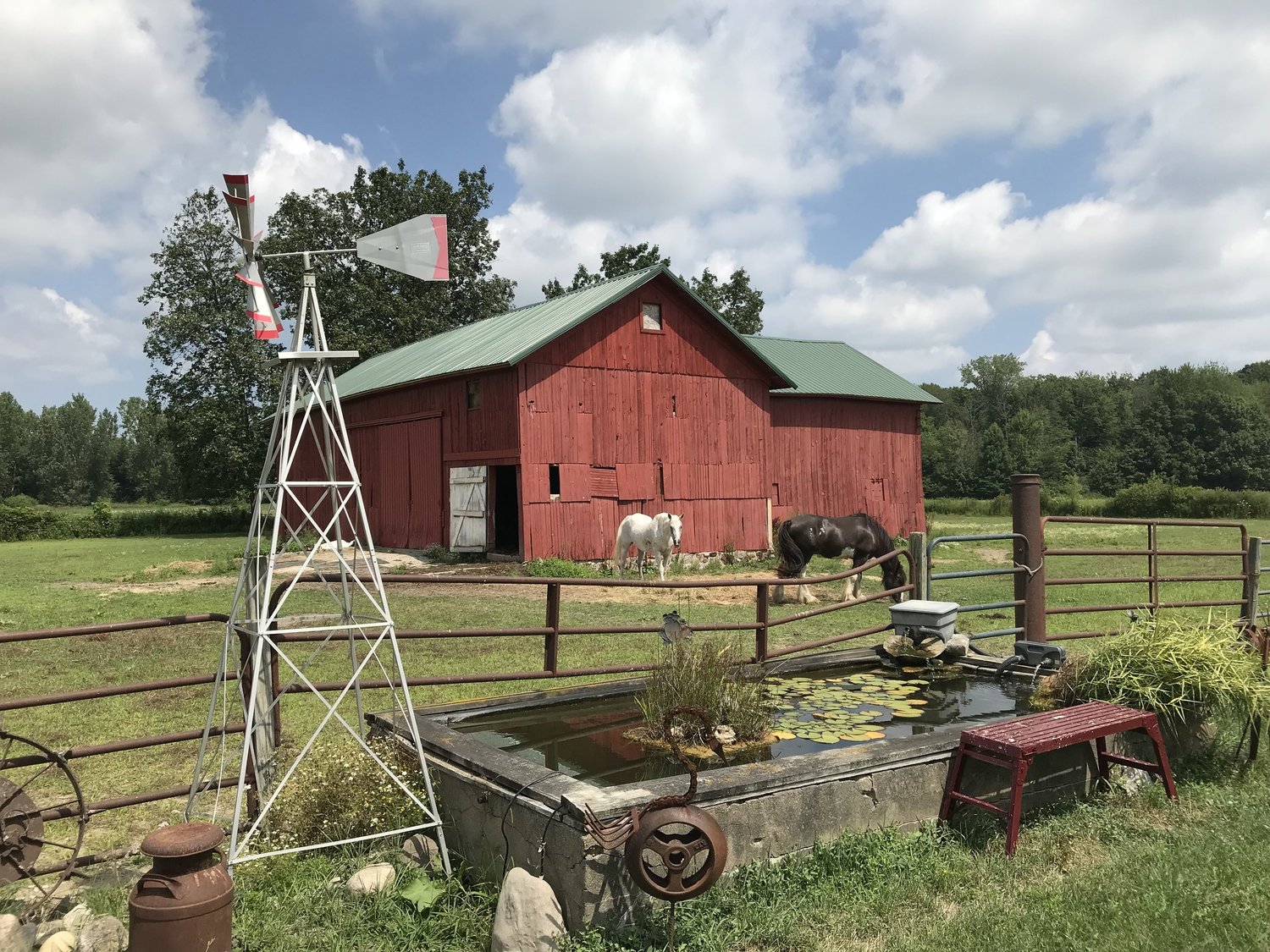 Lucky Lady Farms