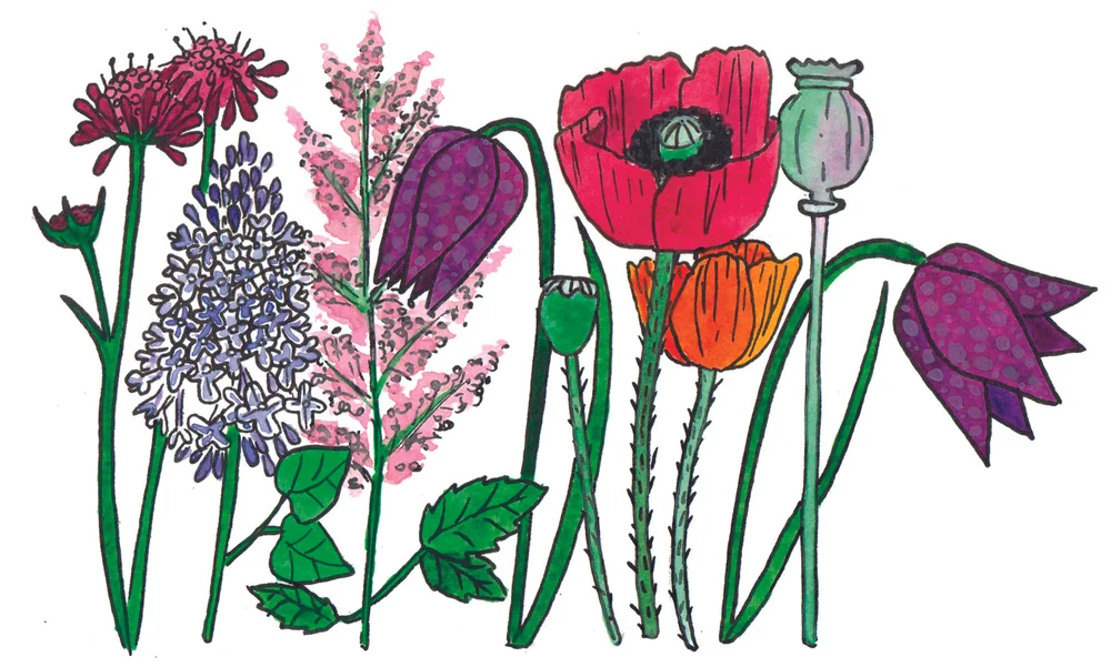 Botanical — Cassia Ozdemir
