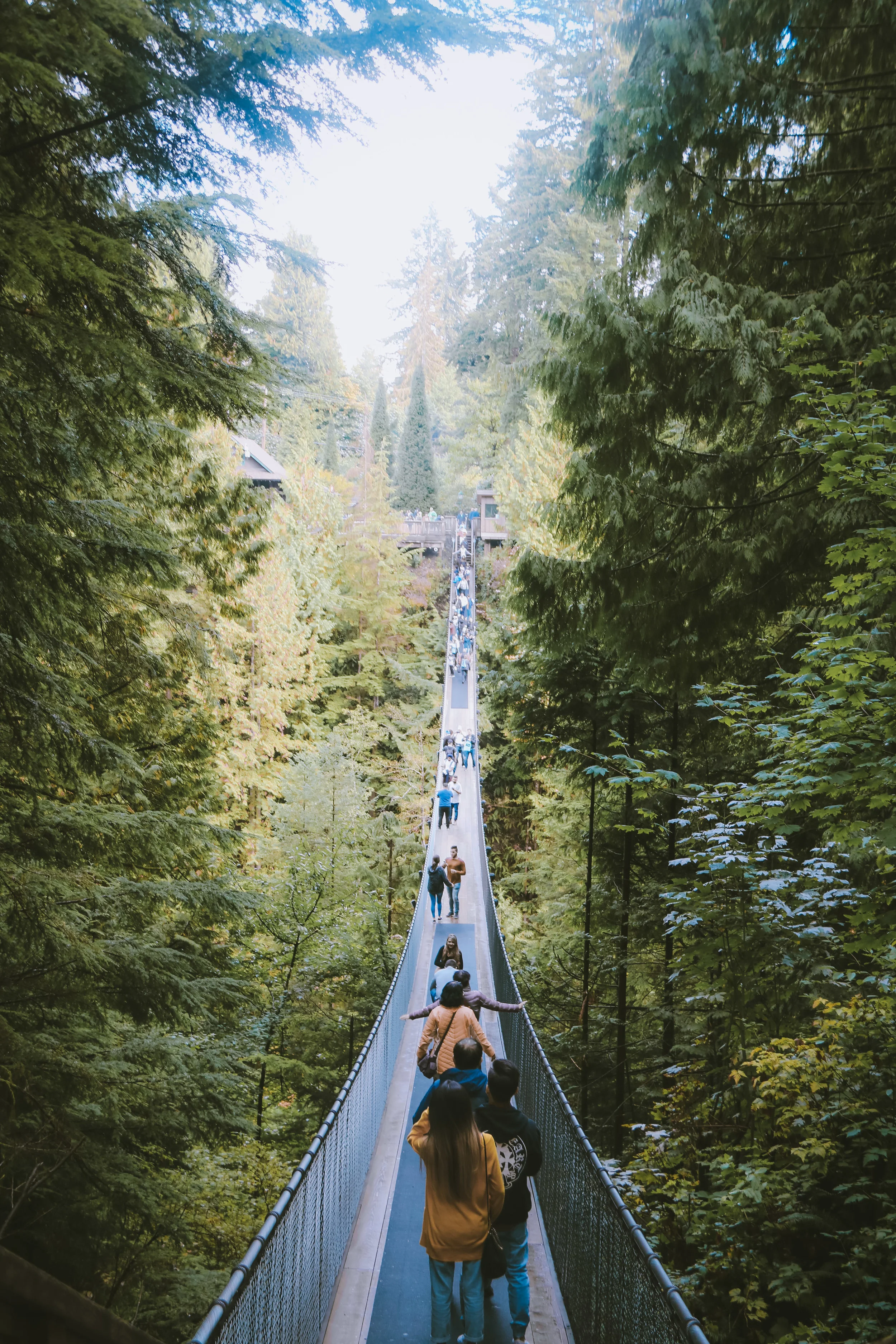 Capilano Suspension Bridge