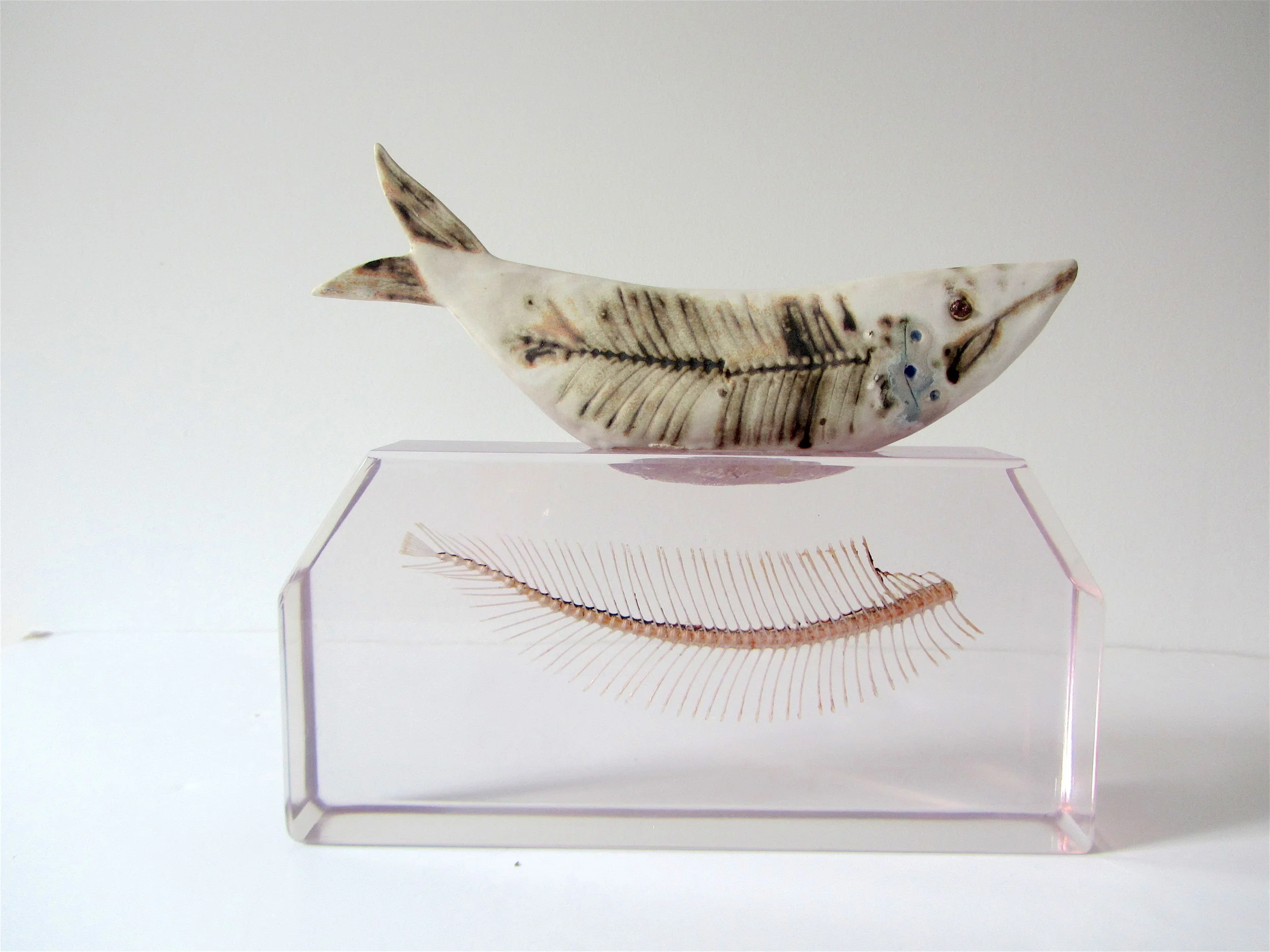 Fish — CLAIRE FINLAY CERAMICS