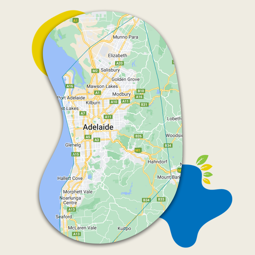 Conscious Healthcare SA