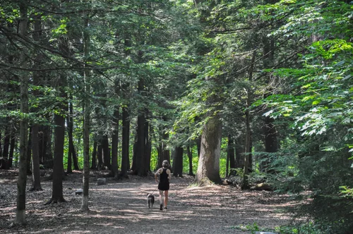 Urban Forest Equity — Portland Parks Conservancy