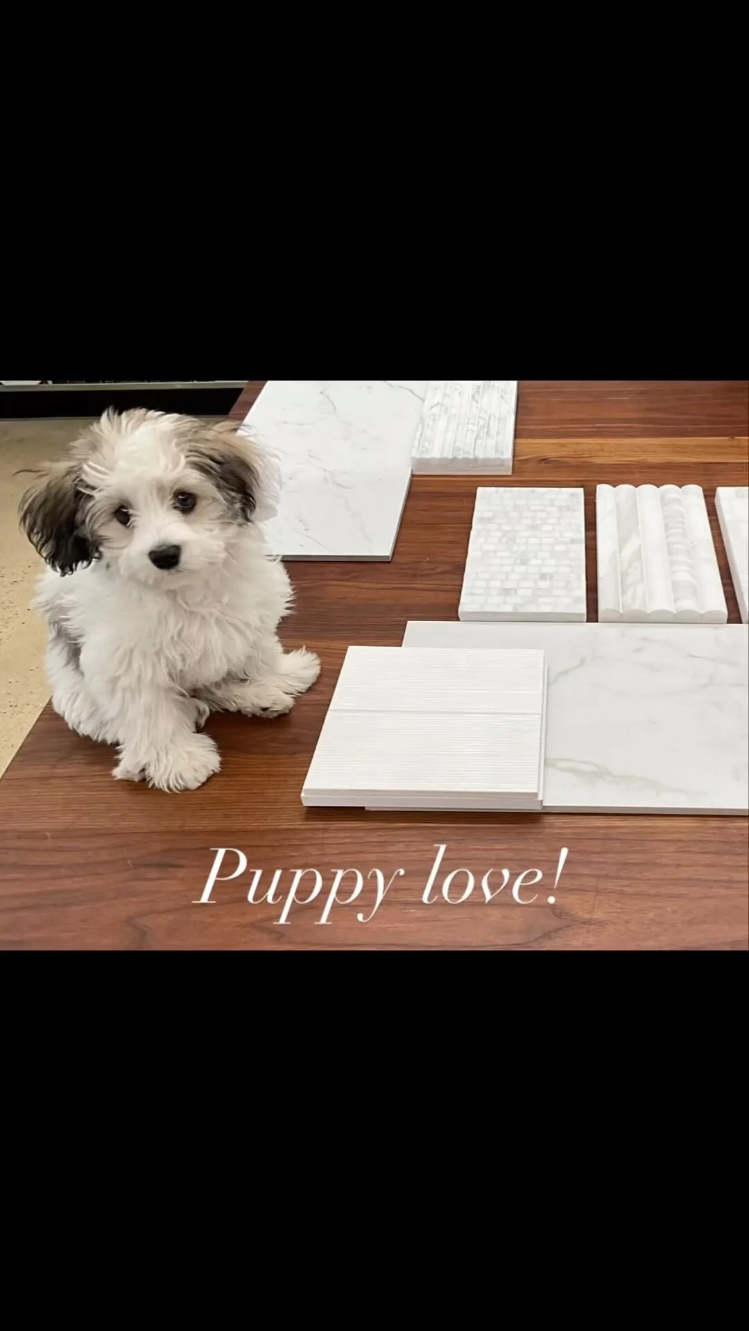 Devon Tile & Design Studio