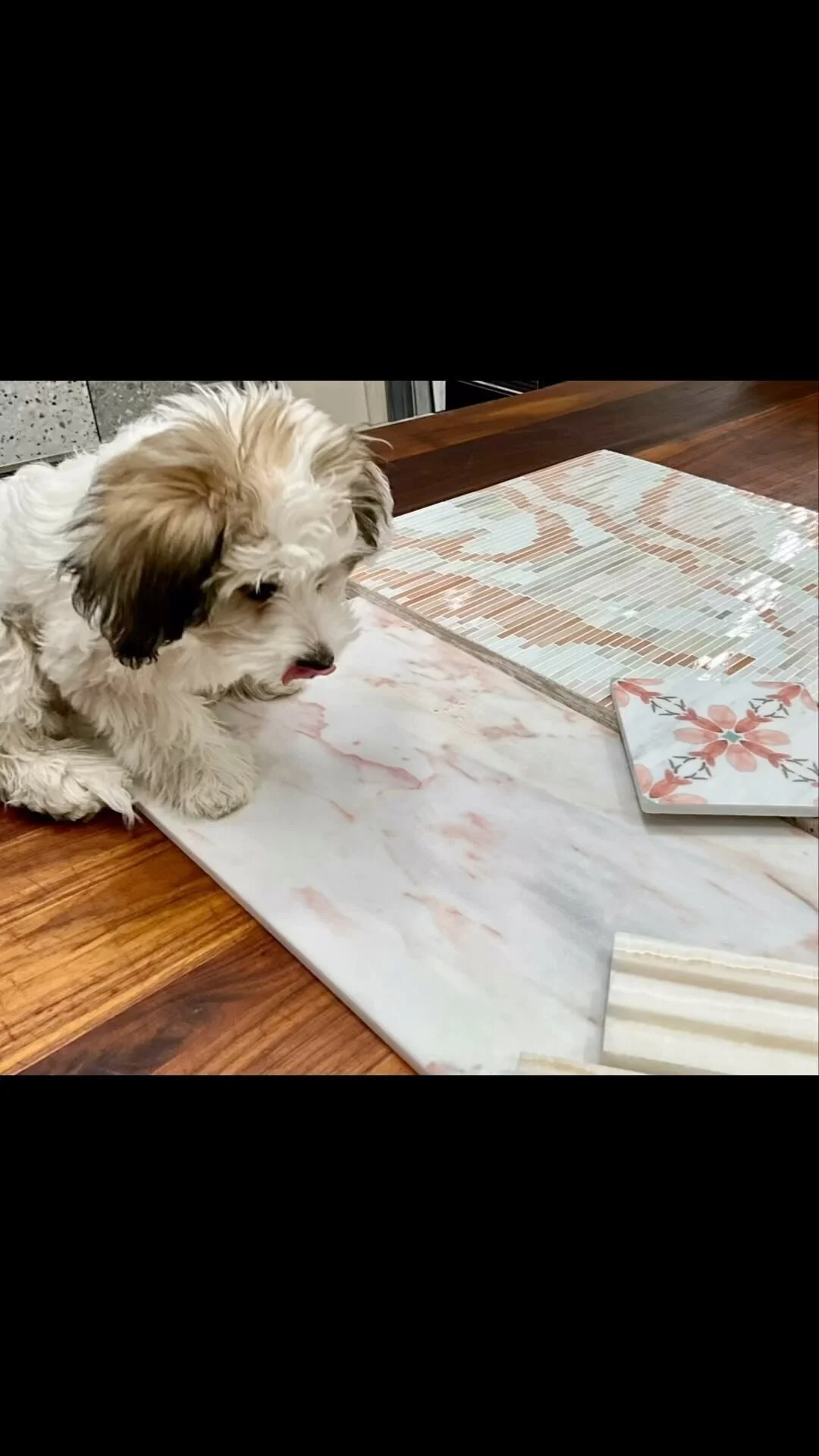 Devon Tile & Design Studio