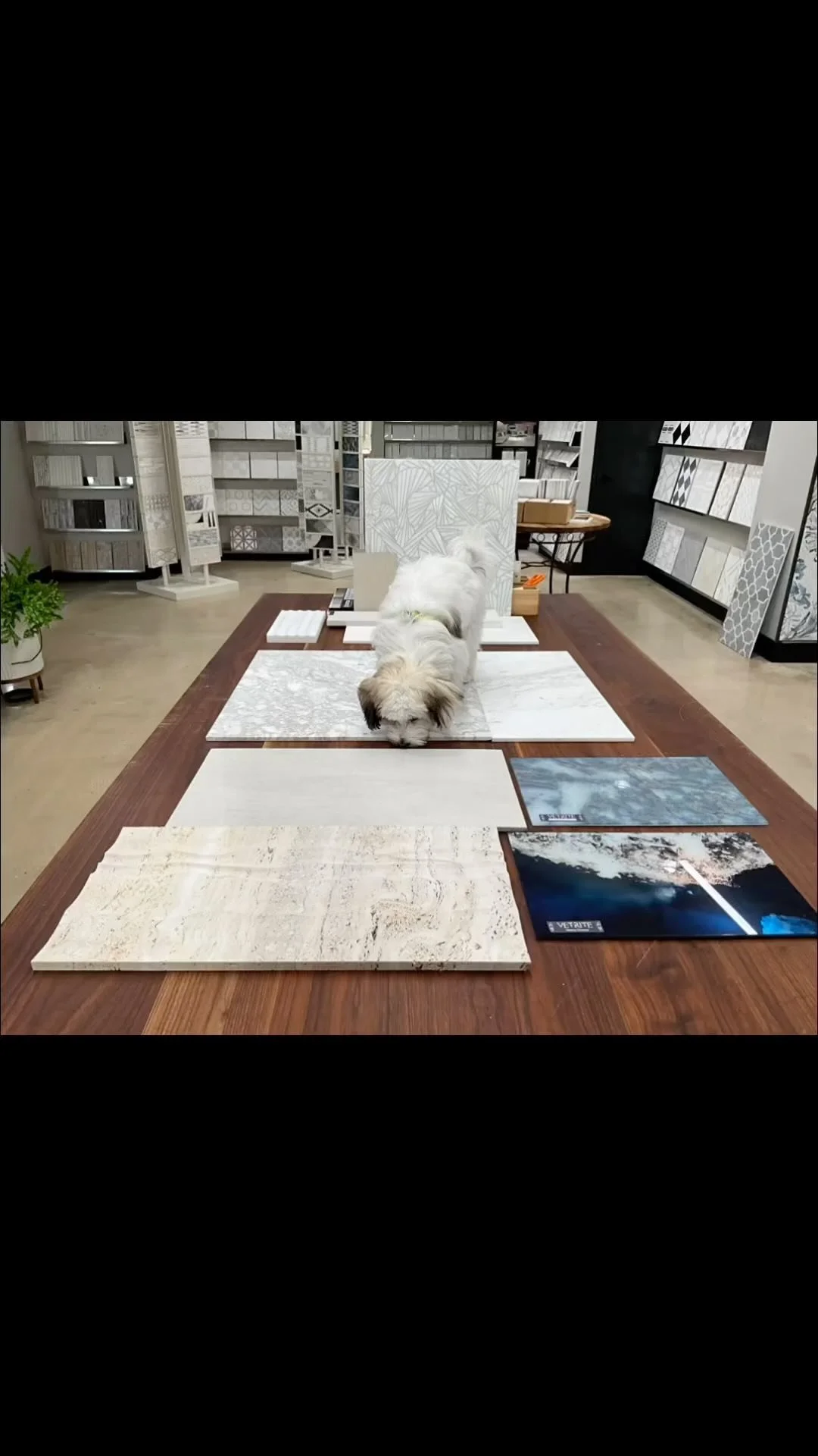 Devon Tile & Design Studio