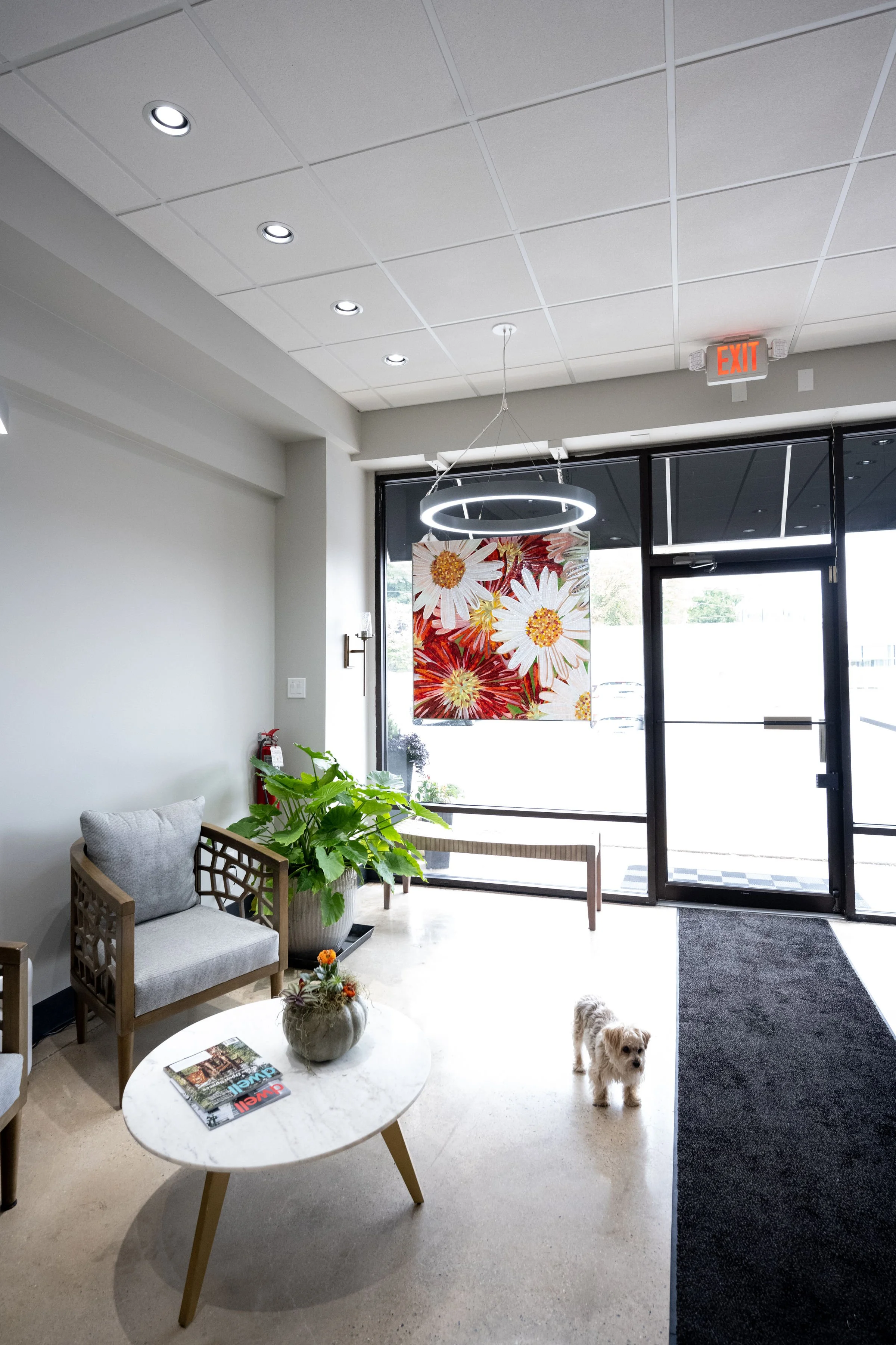 devon tile & design studio