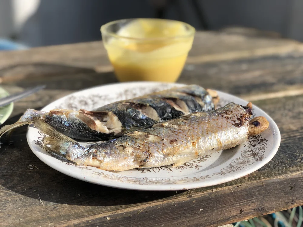 Silver Darlings - A Potted History of the Herring — A Passion for Seafood