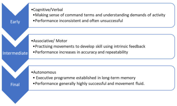 IB SEHS Learning and Performance study guide — Peak Study Resources