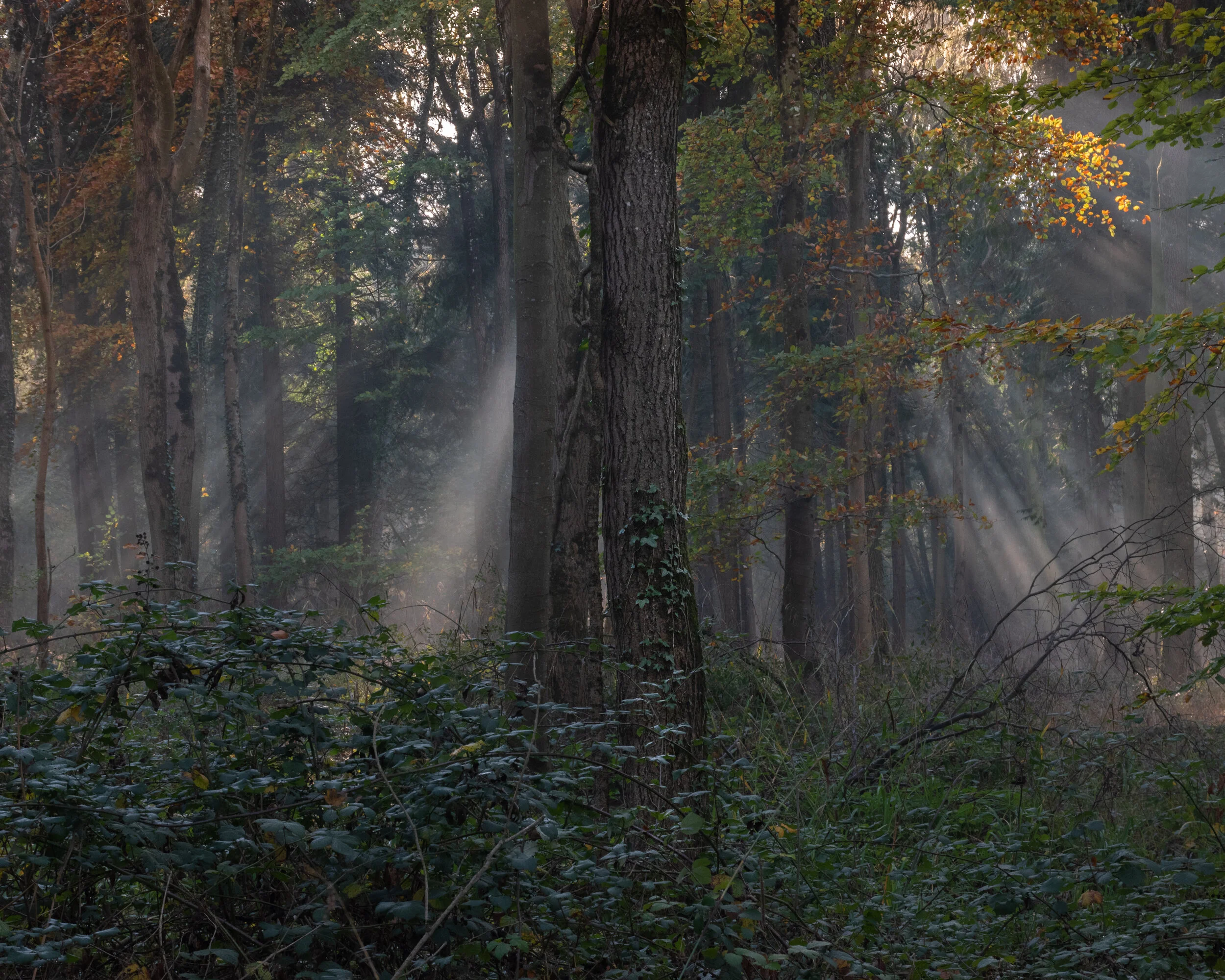 Selected Images — mike palmer creativity