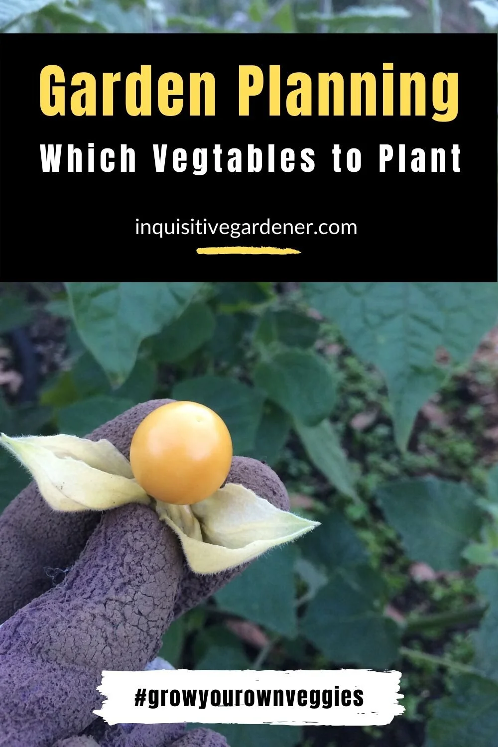 How to Choose Which Vegetables to Plant In Your Garden — Inquisitive ...