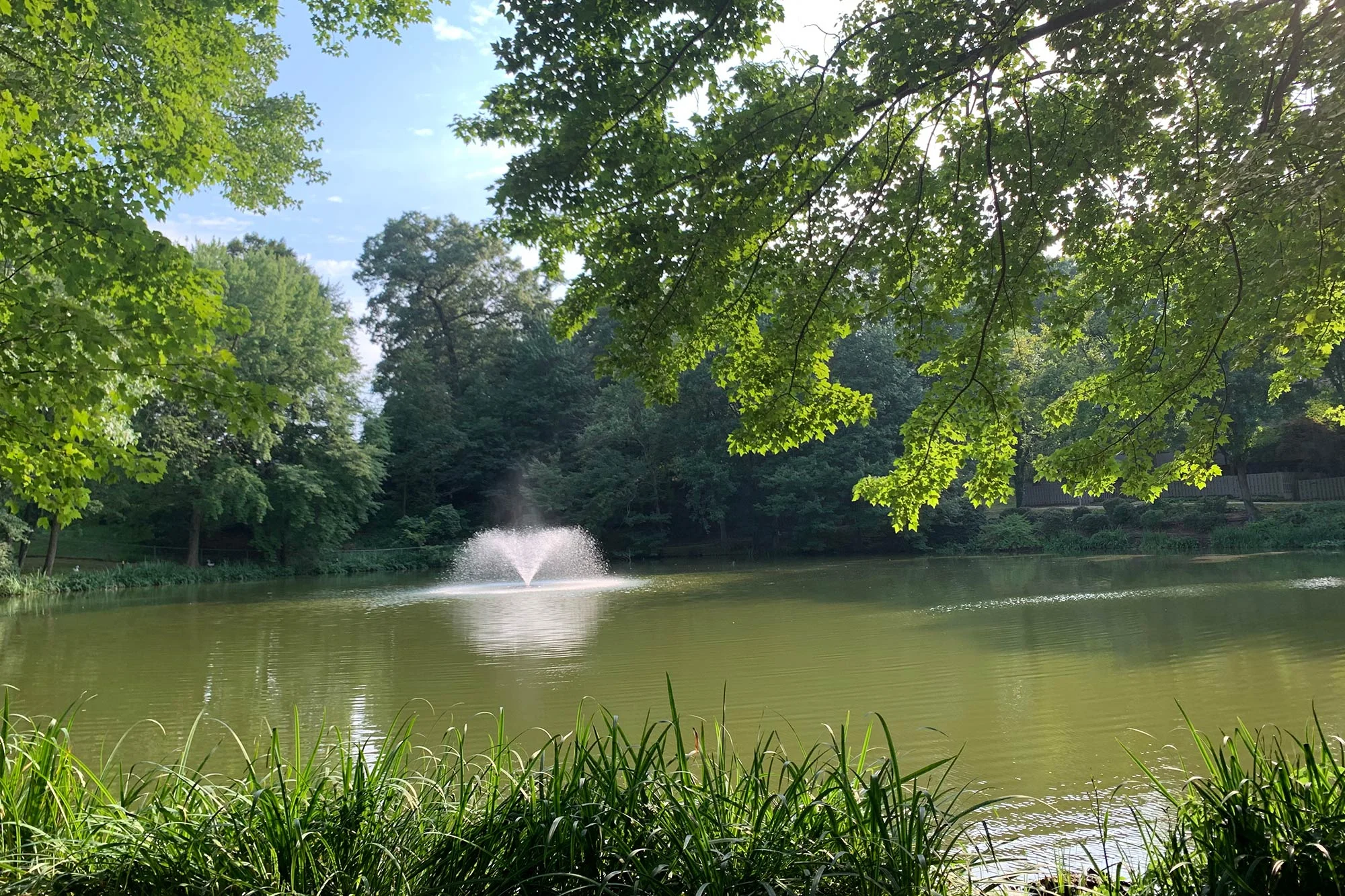 Gallery — Washington Pond Homeowners Association