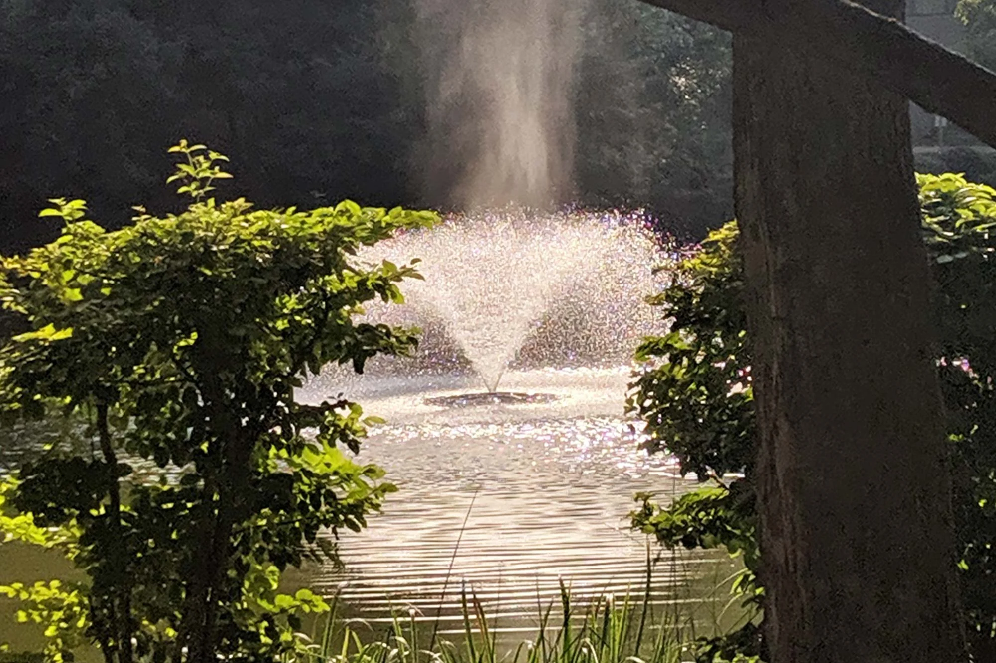 Maintenance, disposal of garbage and recycling — Washington Pond ...