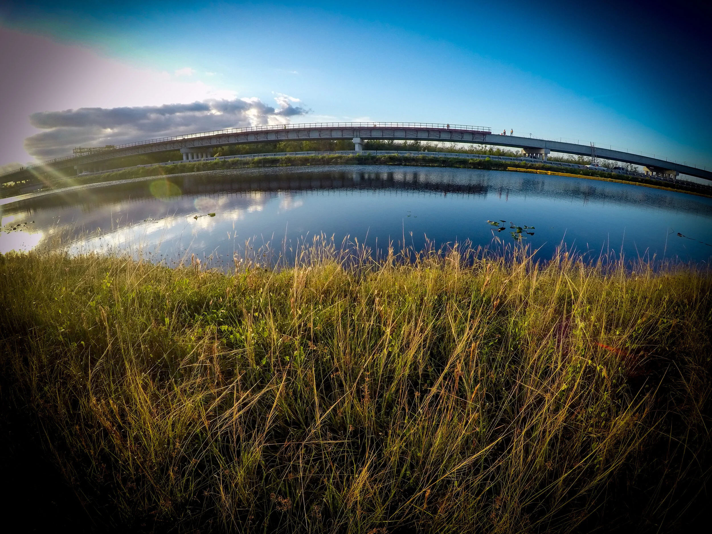 Comprehensive Everglades Restoration Plan (CERP) — Everglades ...