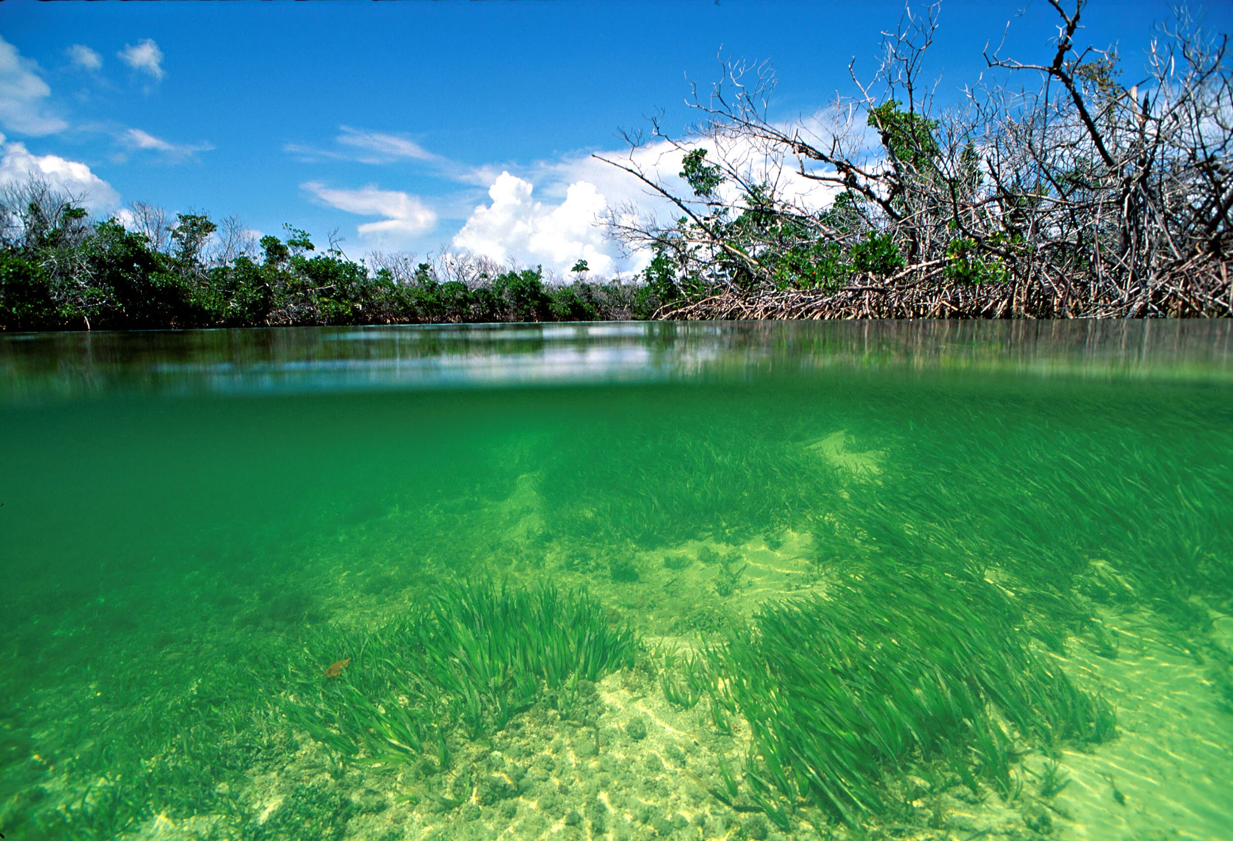 Comprehensive Everglades Restoration Plan (CERP) — Everglades ...
