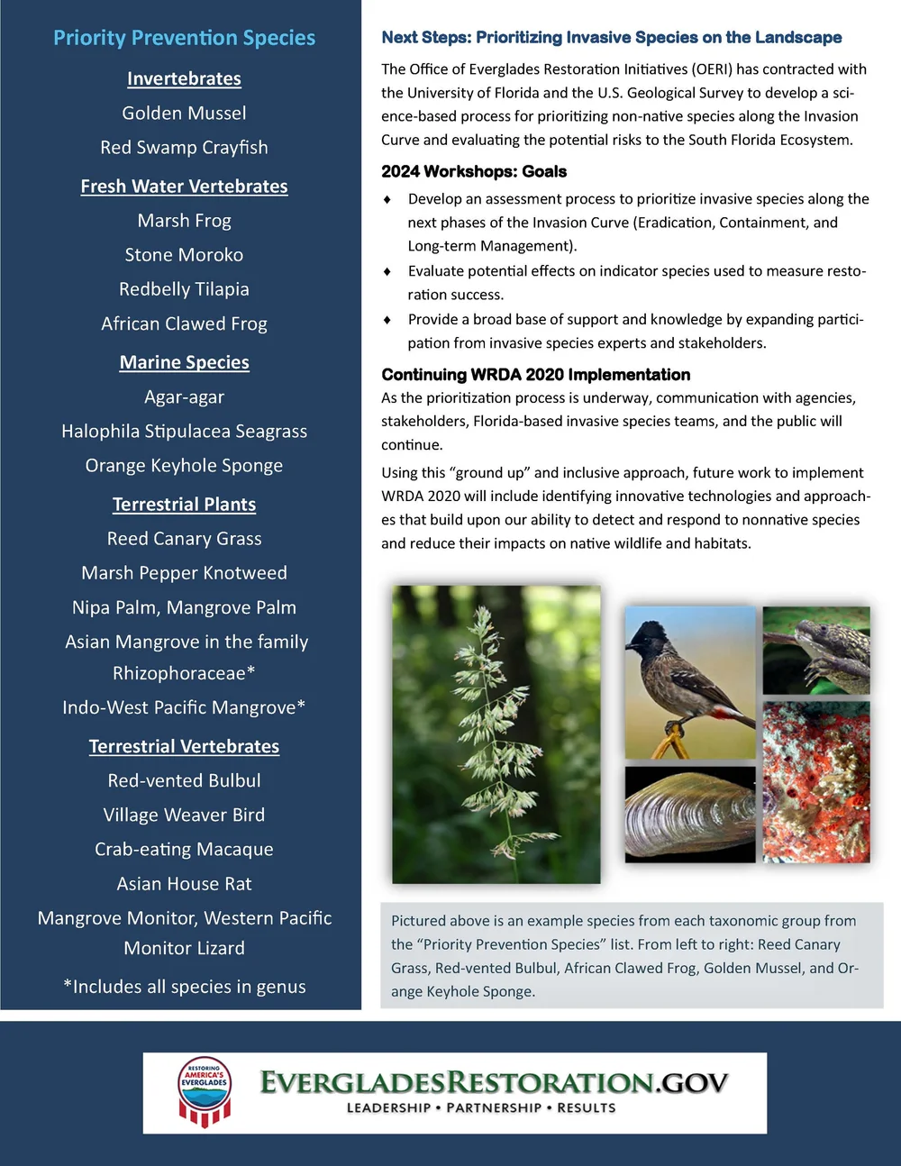 Invasive Species — Everglades Restoration Initiatives